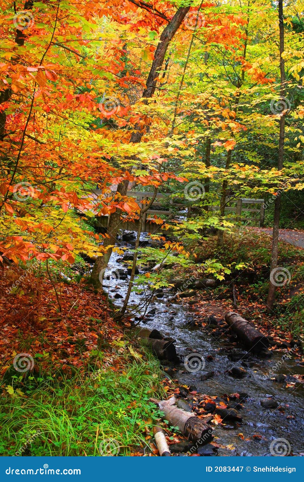 Beautiful autumn scene stock image. Image of green, colors - 2083447