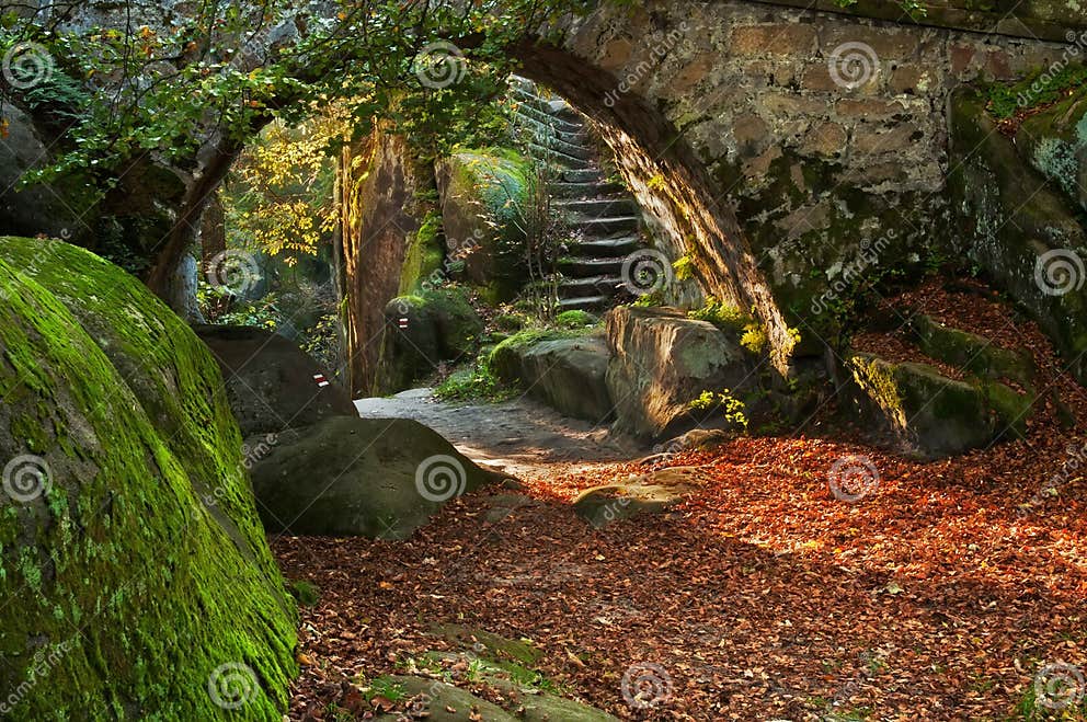 Beautiful Autumn Scene stock image. Image of green, falling - 23355045