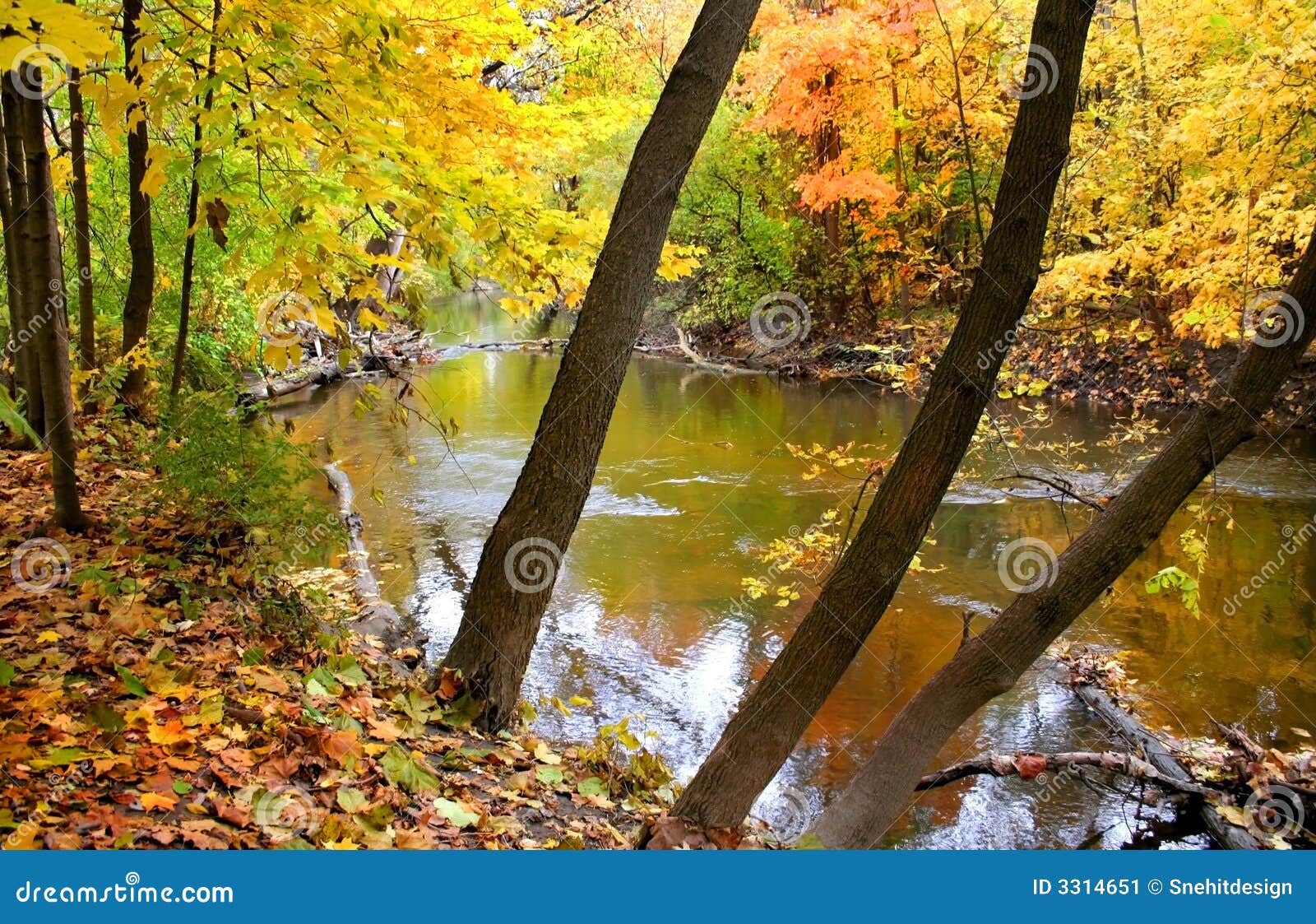 Beautiful Autumn Scene stock image. Image of golden, outdoors - 3314651