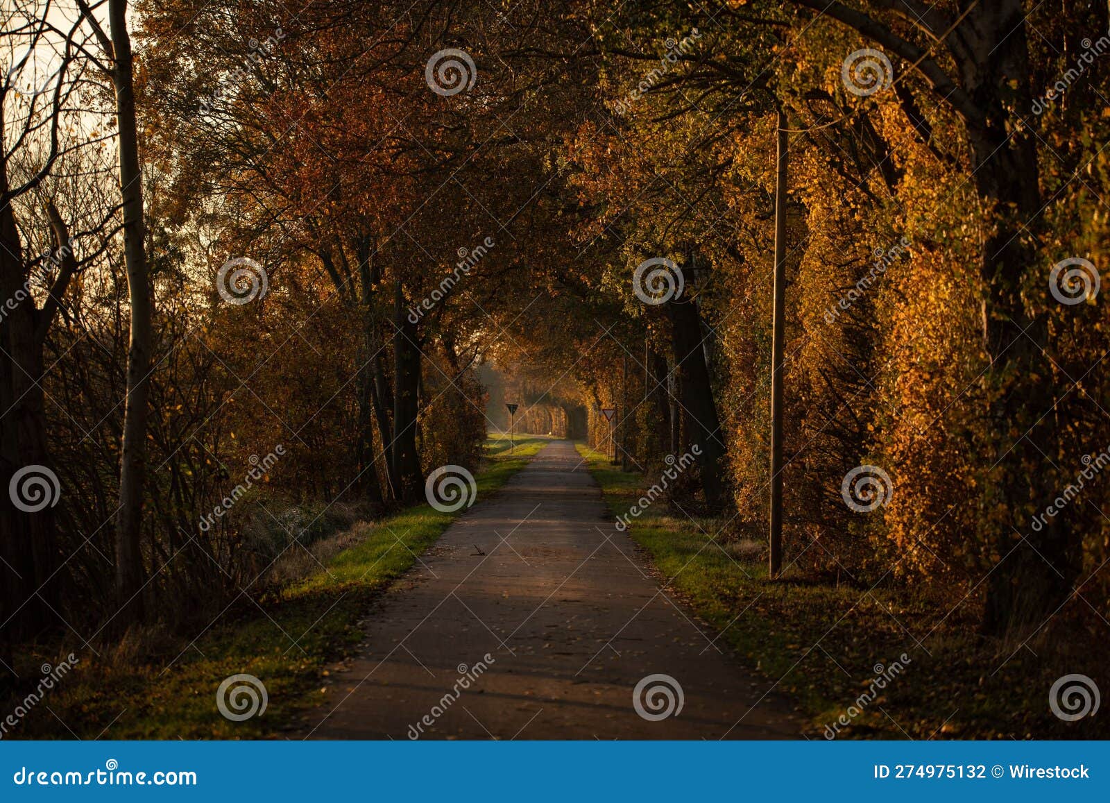 Beautiful Autumn Scene of a Winding Path through a Vibrant Park Stock ...