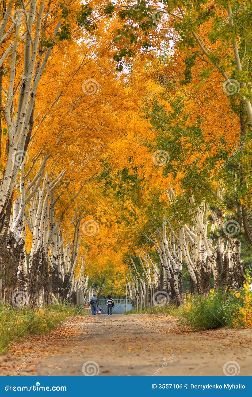 Autumn Scenery Of Beautiful Koishikawa Korakuen Park, A Famous ...