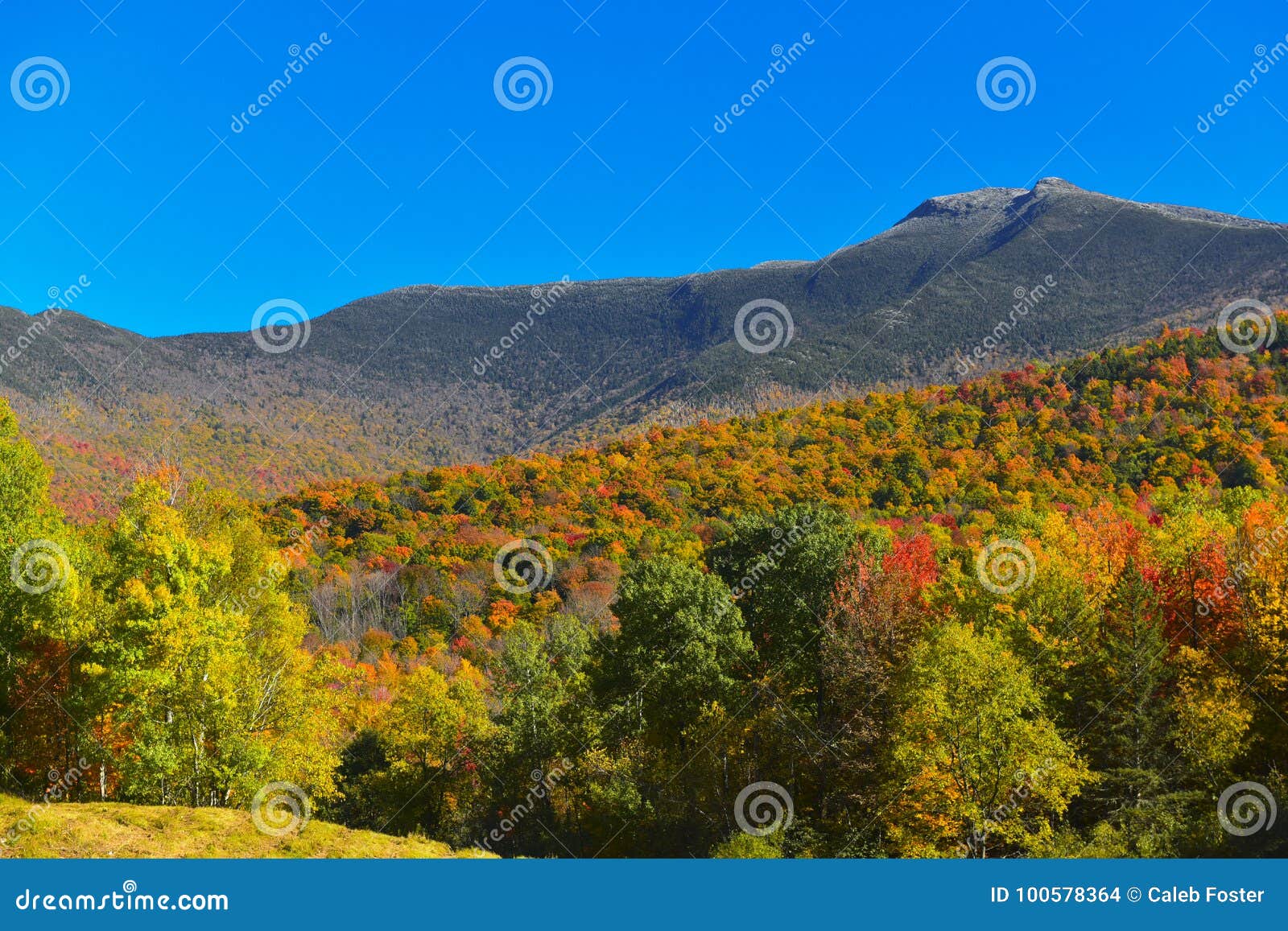 Autumn on Mount Mansfield Vermont Stock Photo - Image of hiking ...