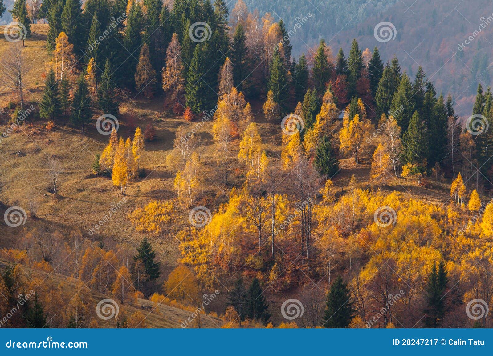Beautiful Autumn Scenery in a Remote Mountain Location Stock Image ...
