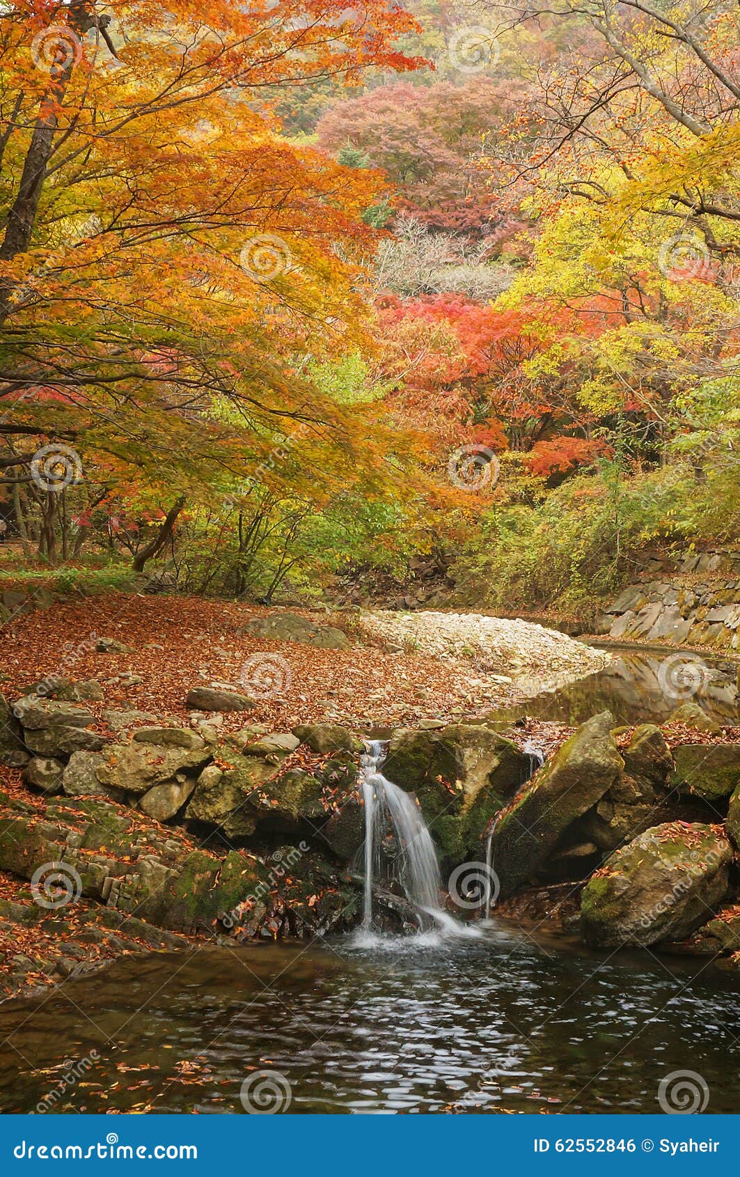 Beautiful Autumn Scenery with Waterfall in Forest. Stock Photo - Image ...
