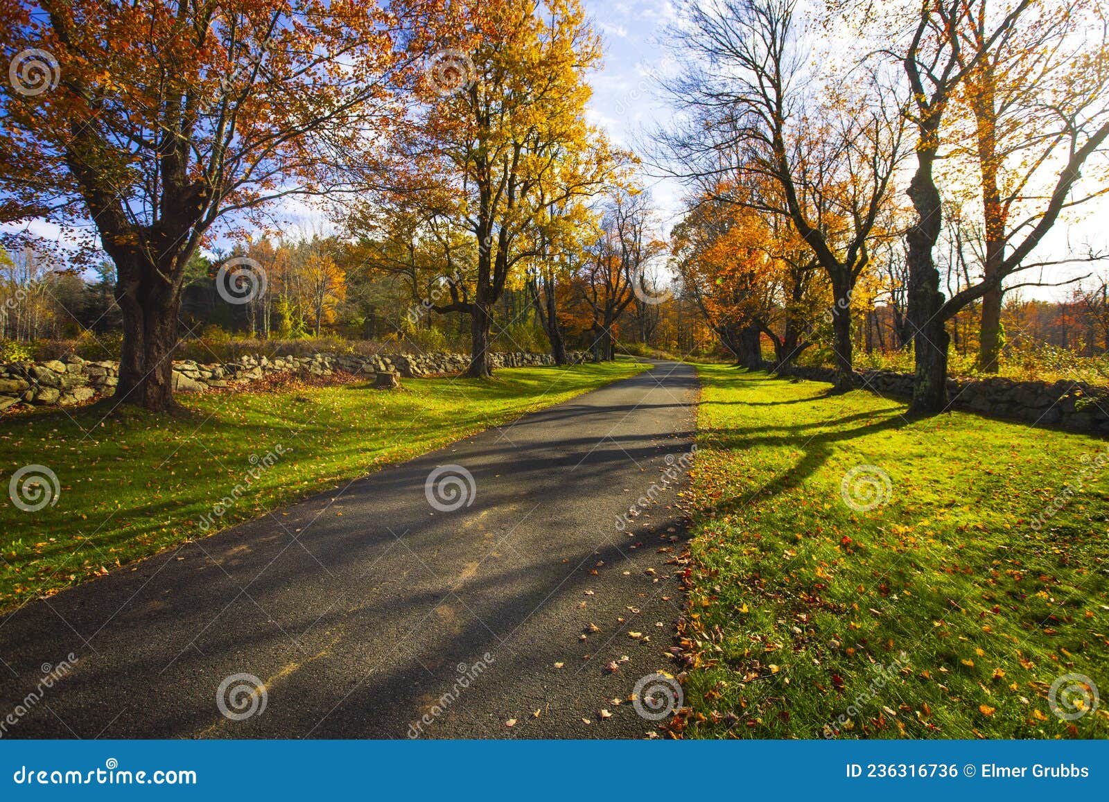 Beautiful Autumn Scenic Empty Road and Leaves in the Fall Stock Photo ...