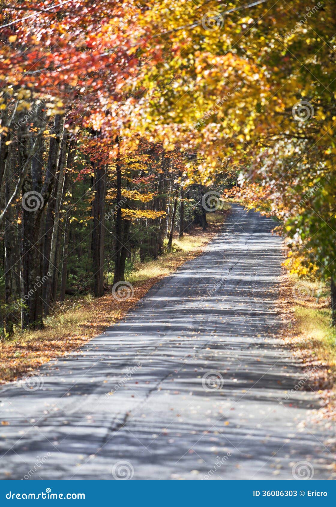 Beautiful autumn trail stock image. Image of outdoor - 36006303