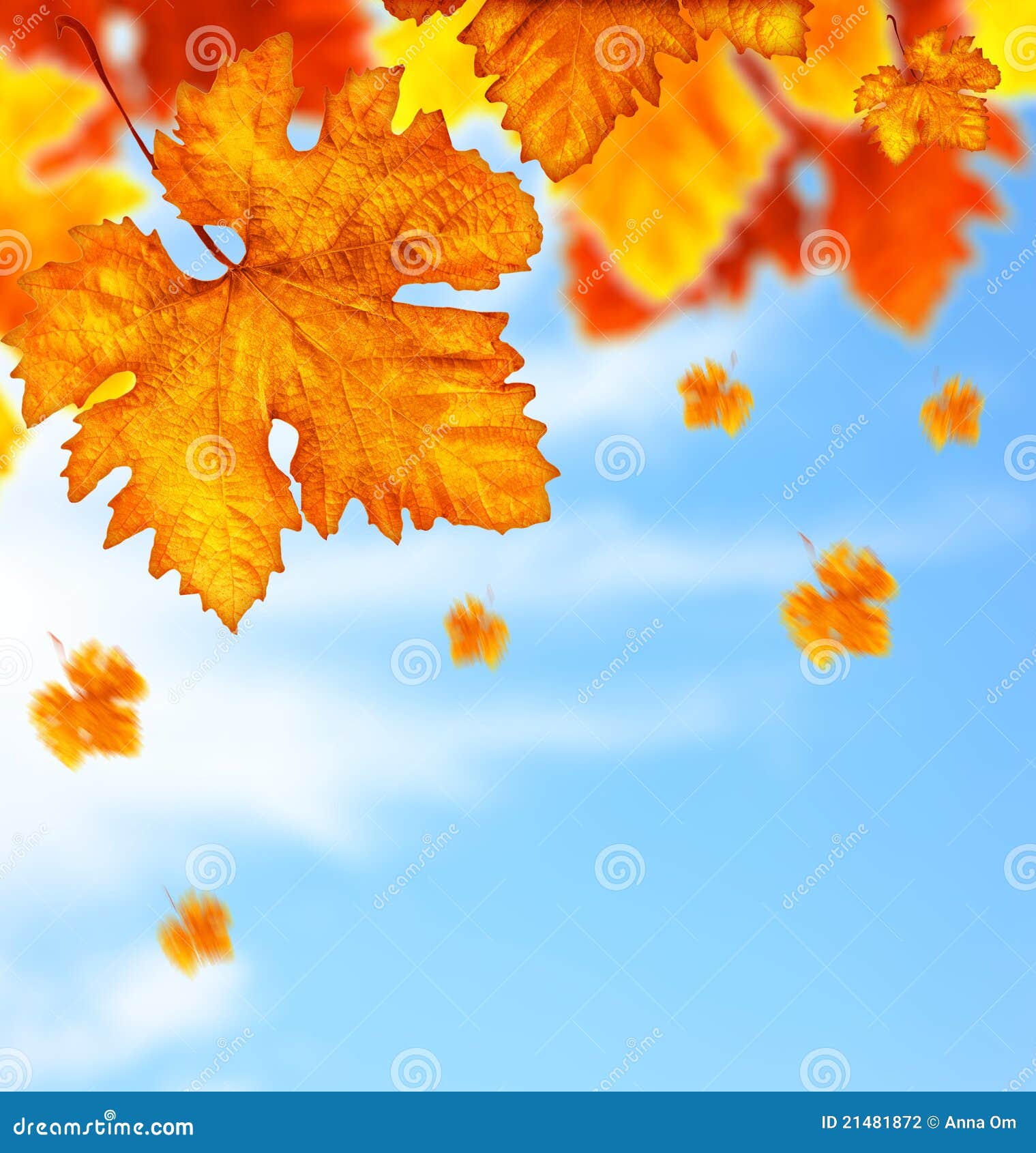 Beautiful Autumn Tree Leaves Background Border Stock Photo - Image of ...