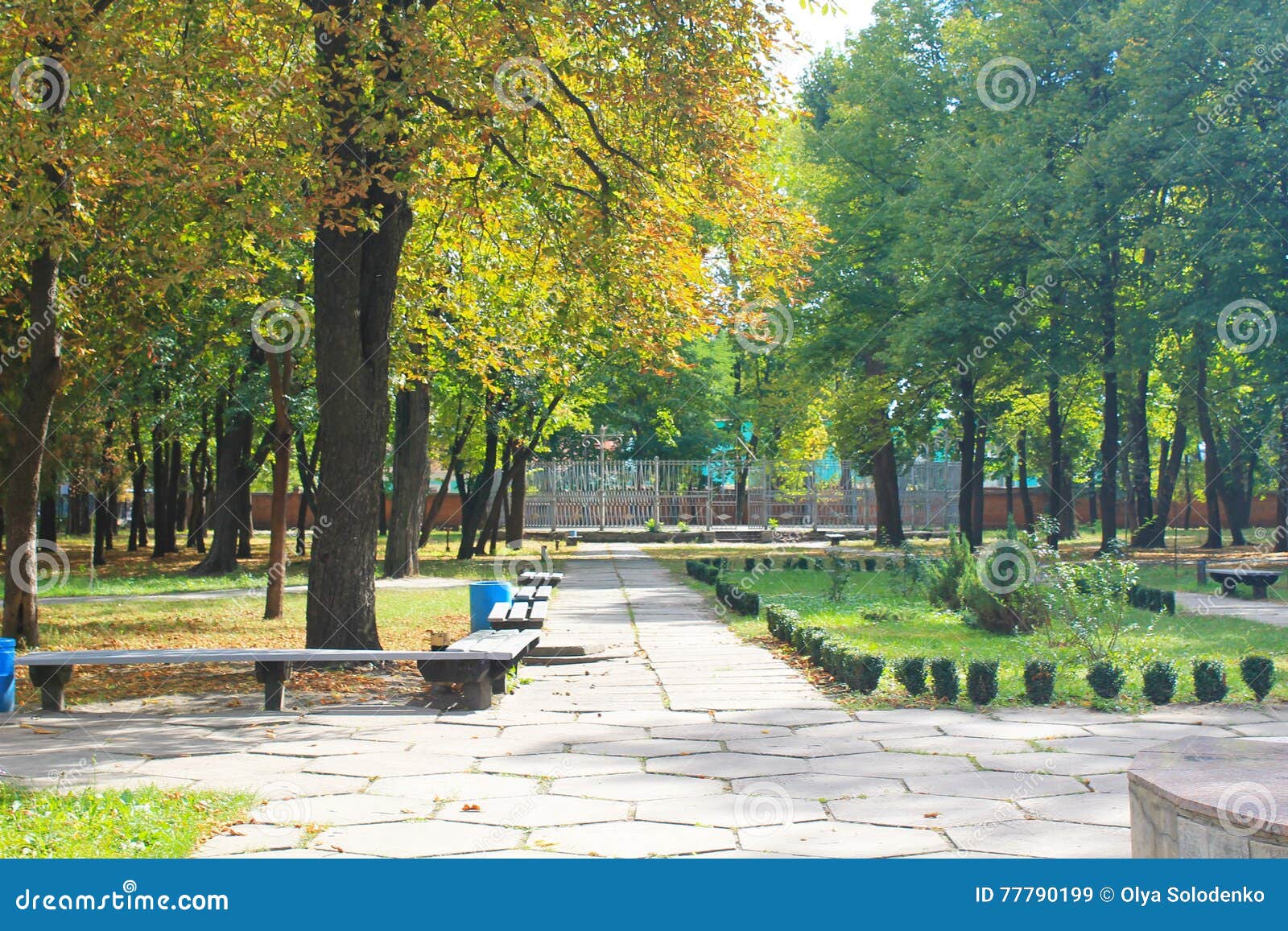 Beautiful Autumn Trees in City Park Stock Image - Image of lawn ...