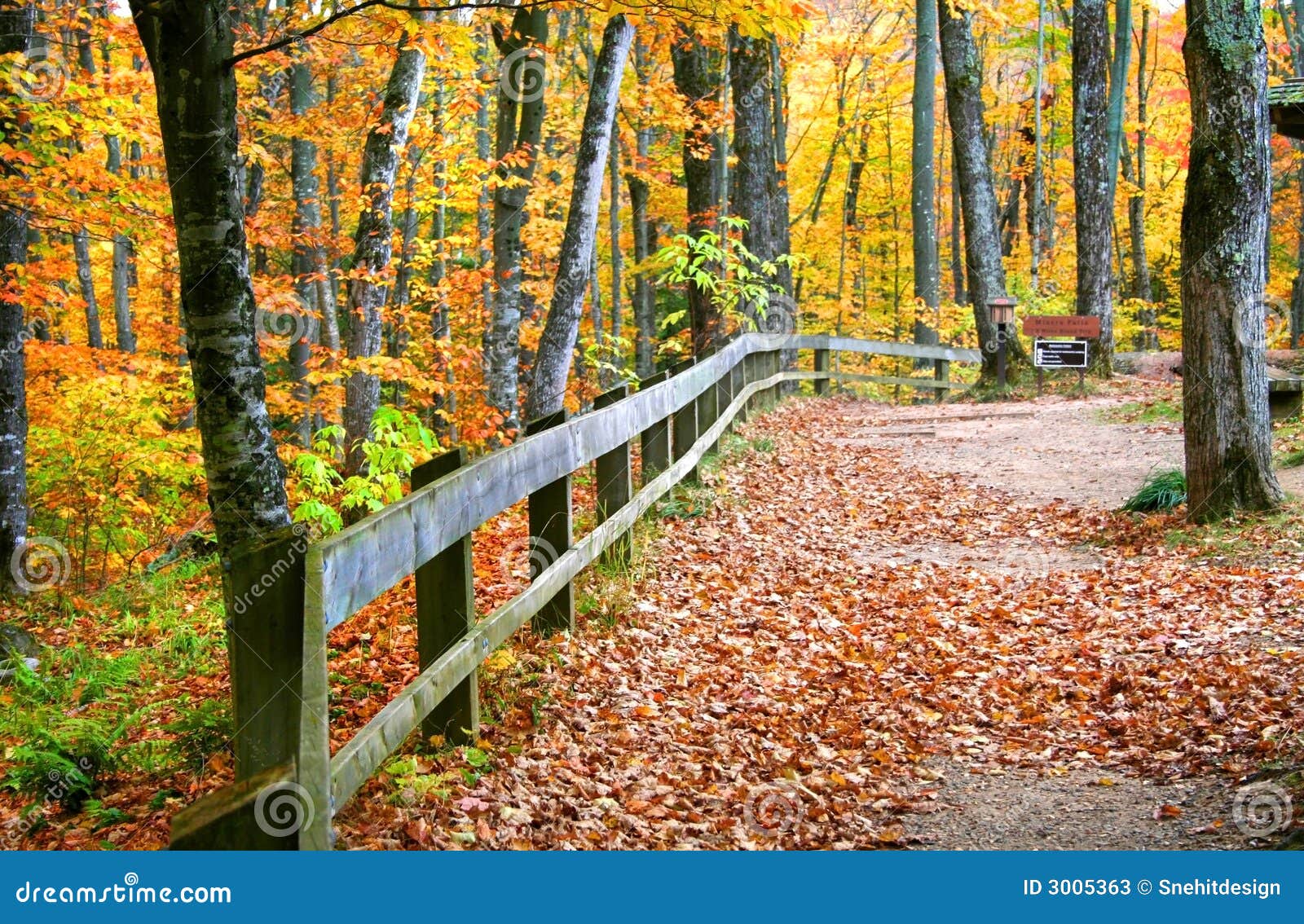 Beautiful Autumn Walkway stock image. Image of little - 3005363