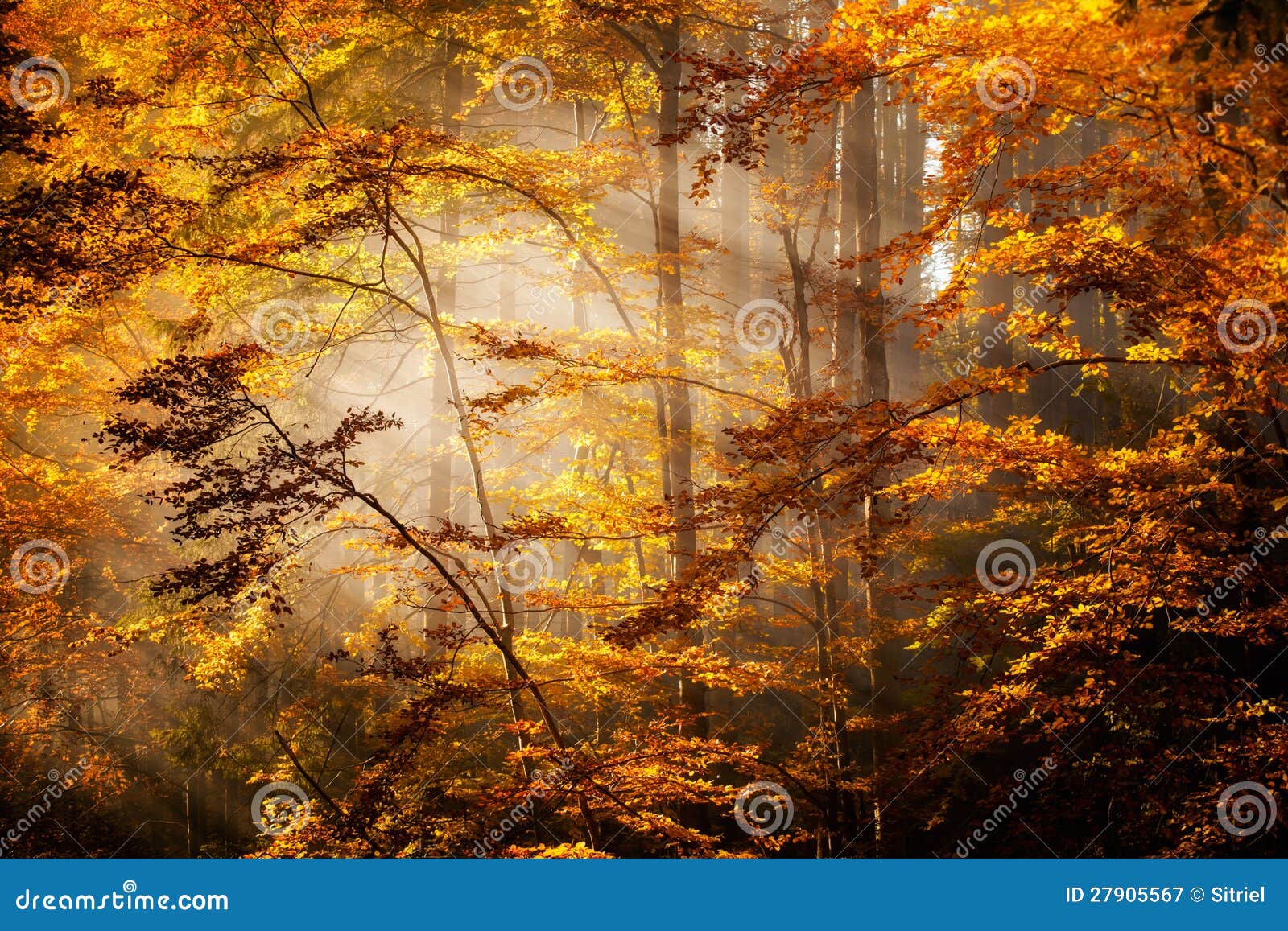 Beautiful Autumn Woods Landscape Stock Image - Image of mountains ...