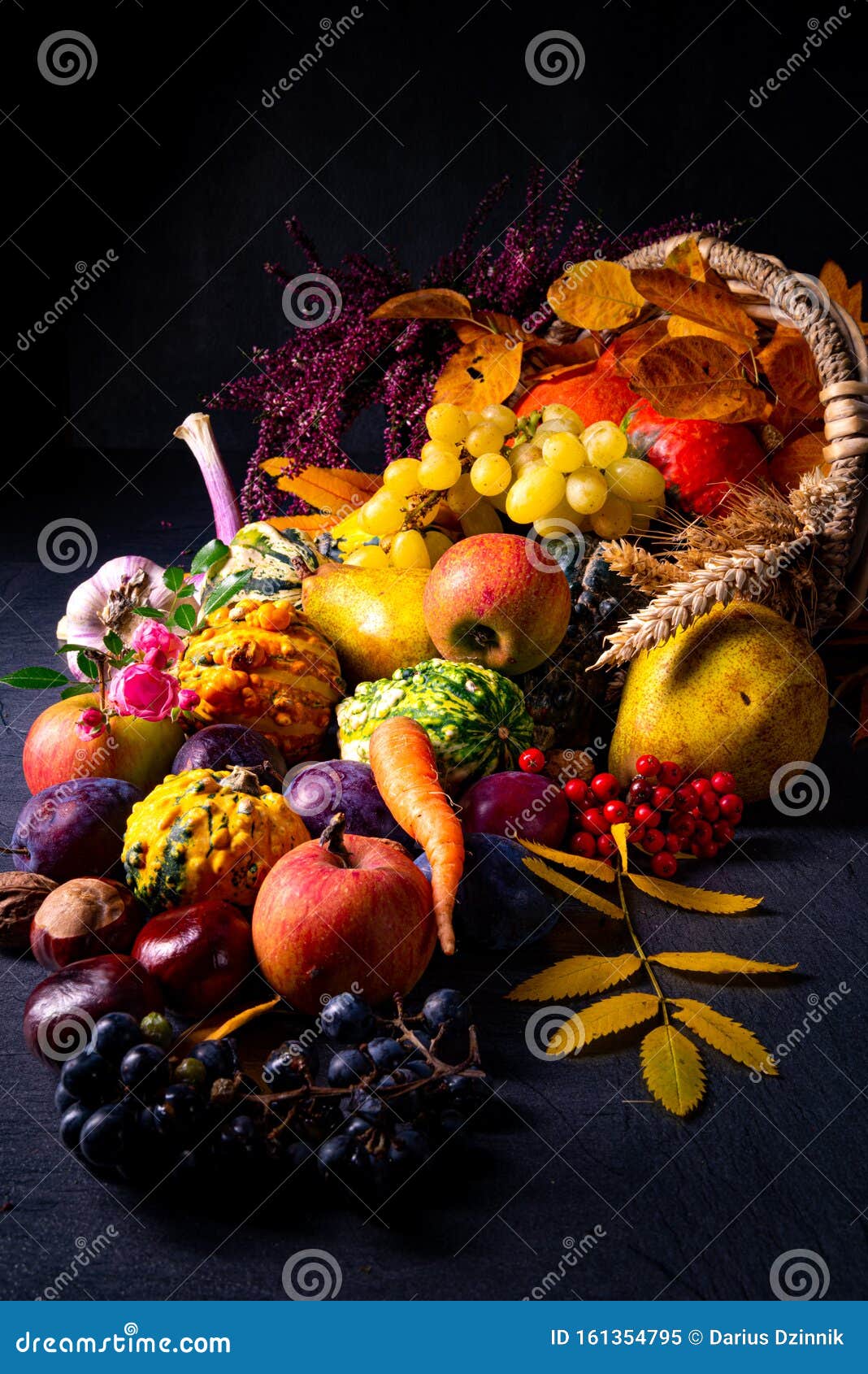 Beautiful and Autumnal Cornucopia Stock Image - Image of frame, horn ...
