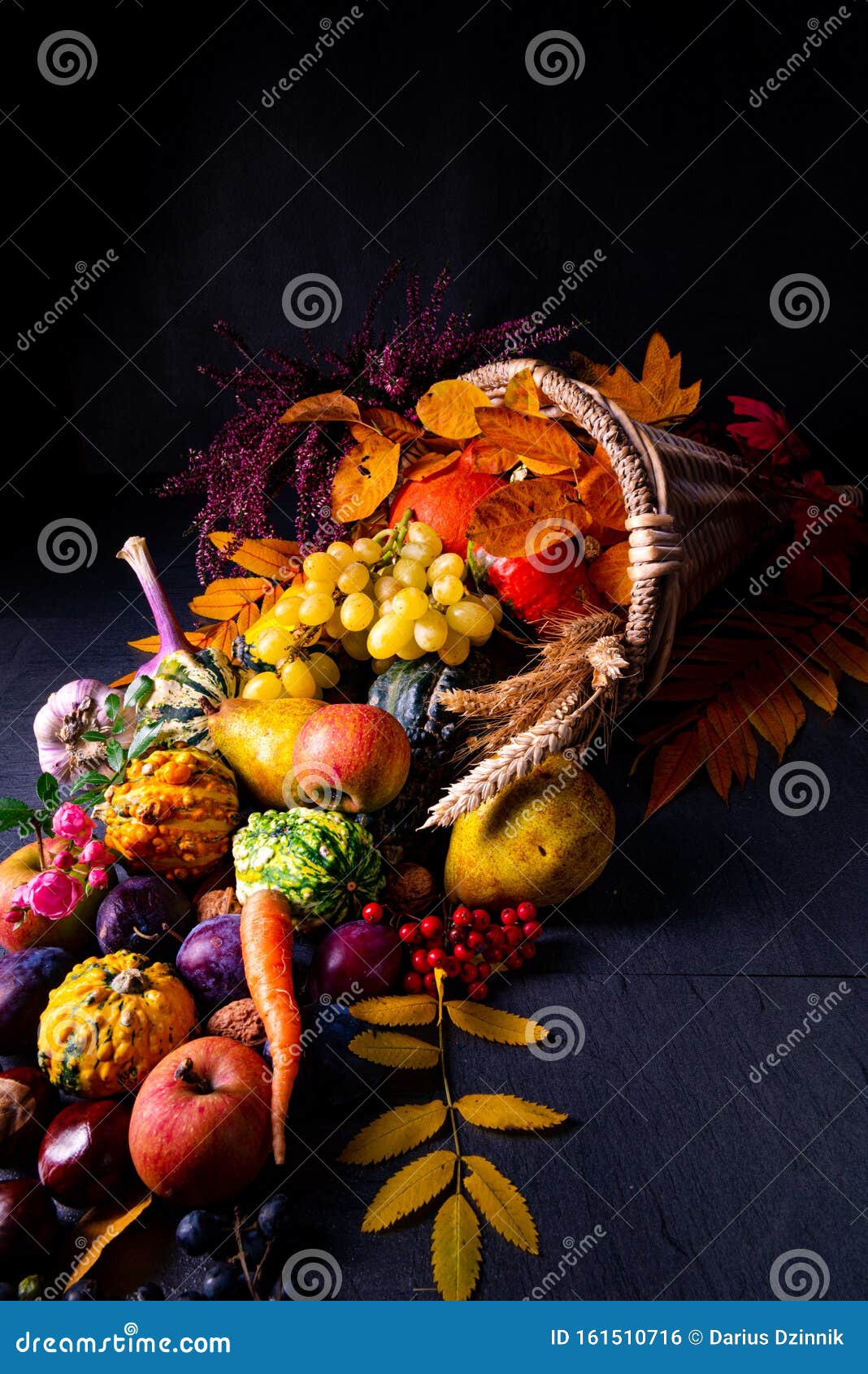 Beautiful and Autumnal Cornucopia Stock Photo - Image of life, food ...