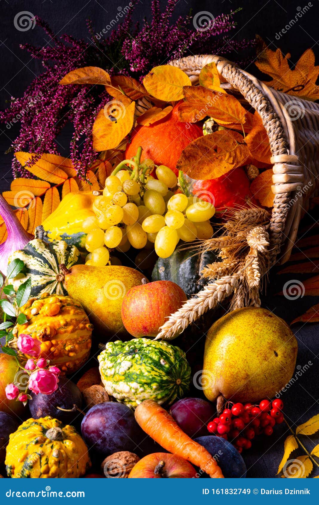 Beautiful and Autumnal Cornucopia Stock Image - Image of leaf, nature ...