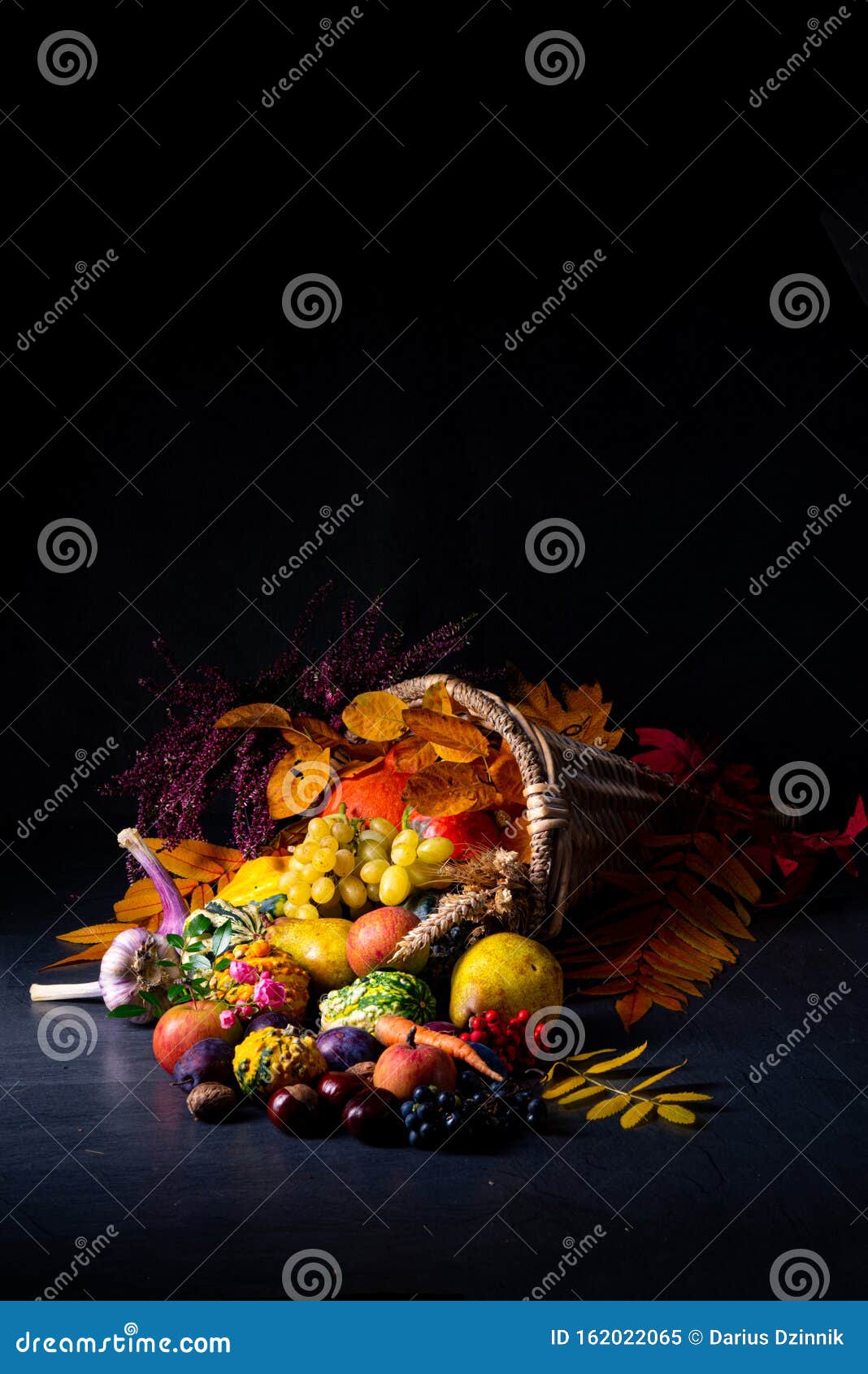 Beautiful and Autumnal Cornucopia Stock Image - Image of celebration ...