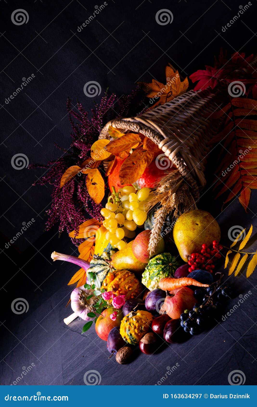 Beautiful and Autumnal Cornucopia Stock Image - Image of food, leaf ...