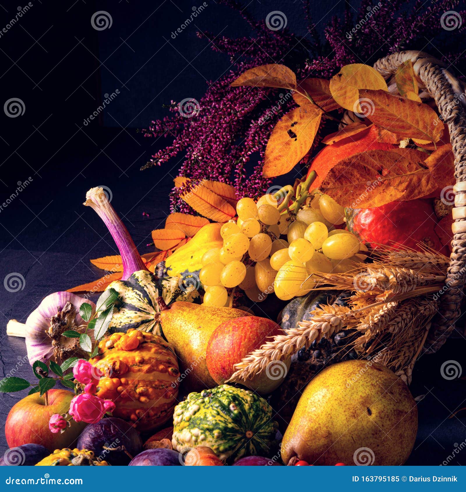 Beautiful and Autumnal Cornucopia Stock Image - Image of apple, leaf ...