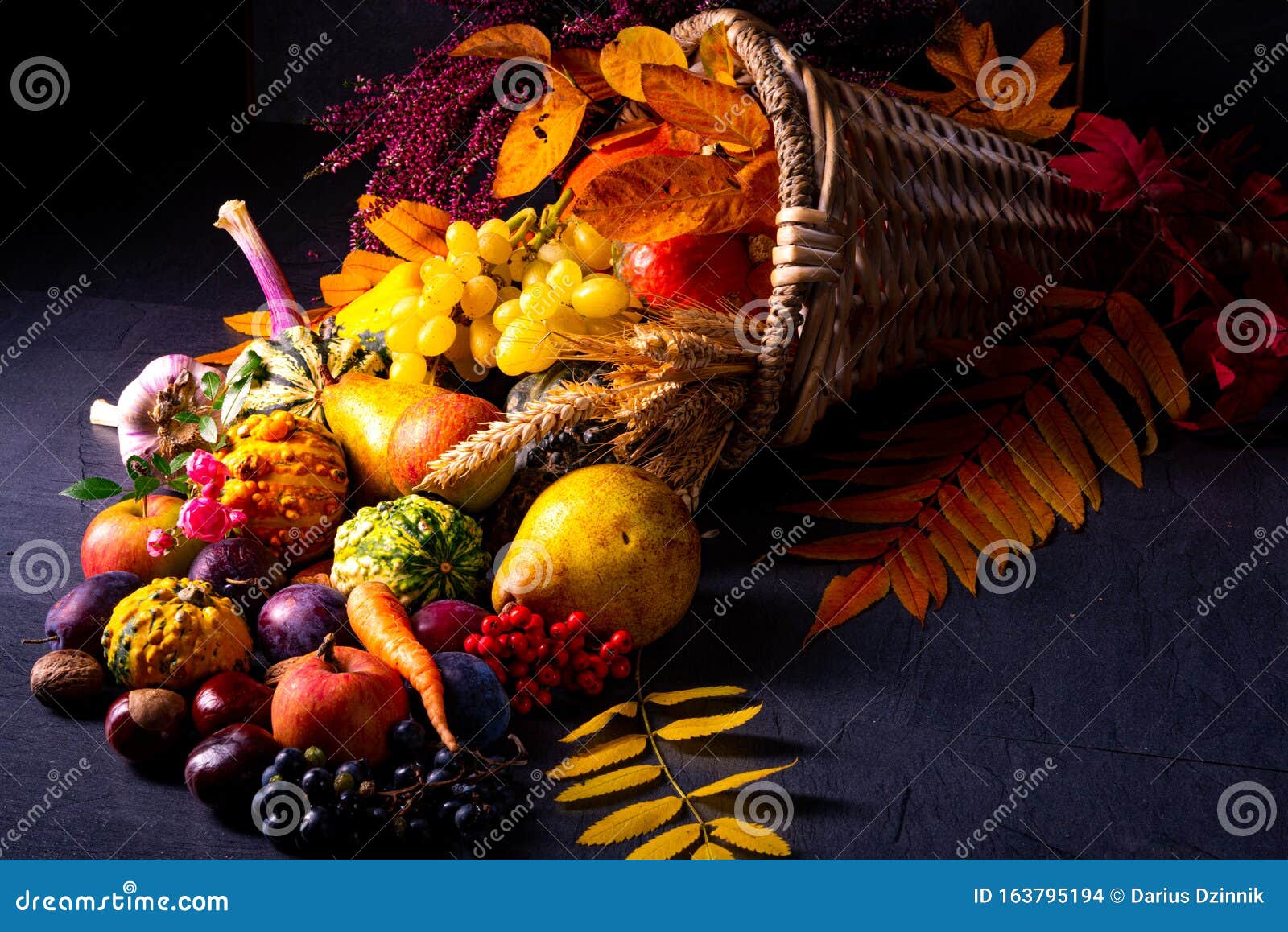 A Beautiful and Autumnal Cornucopia Stock Photo - Image of fruit ...