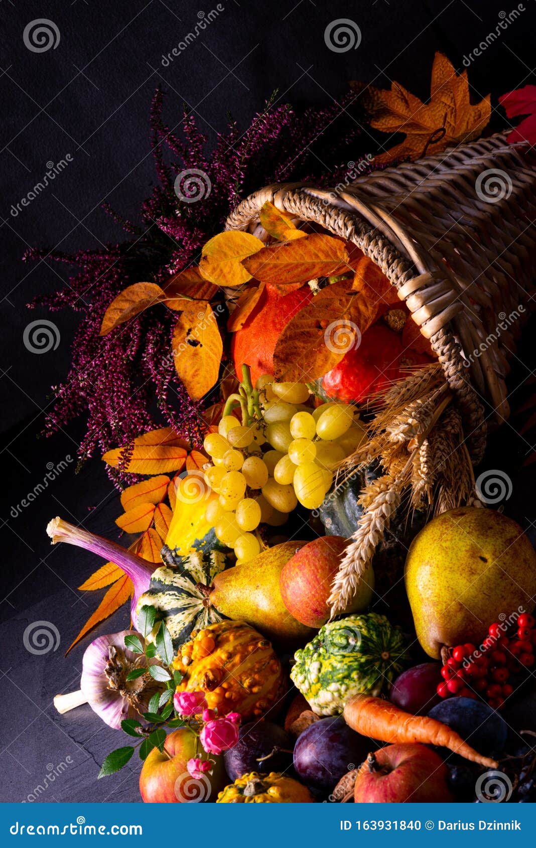 Beautiful and Autumnal Cornucopia Stock Photo - Image of frame, healthy ...