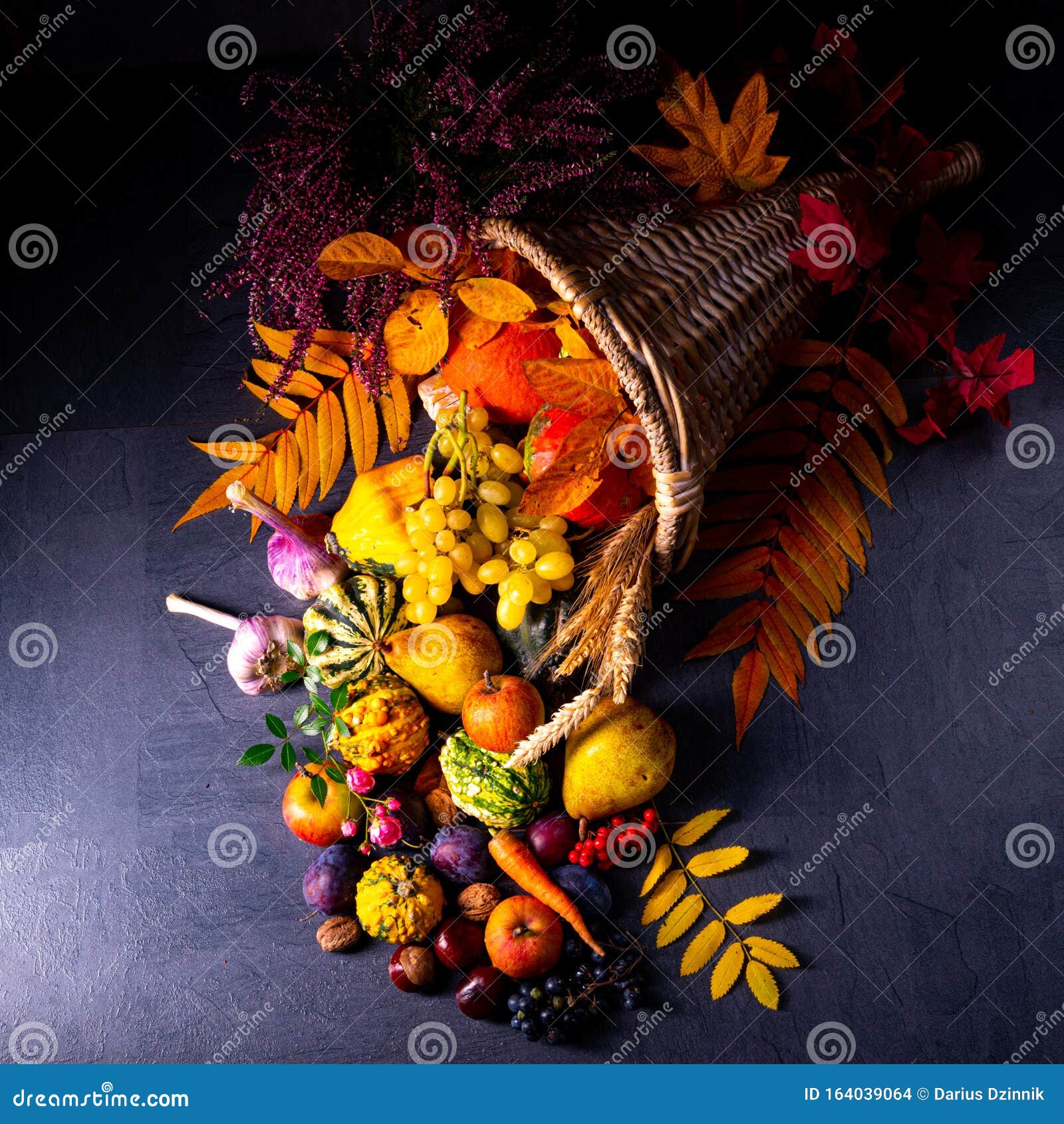 Beautiful and Autumnal Cornucopia Stock Photo - Image of leaf, fresh ...