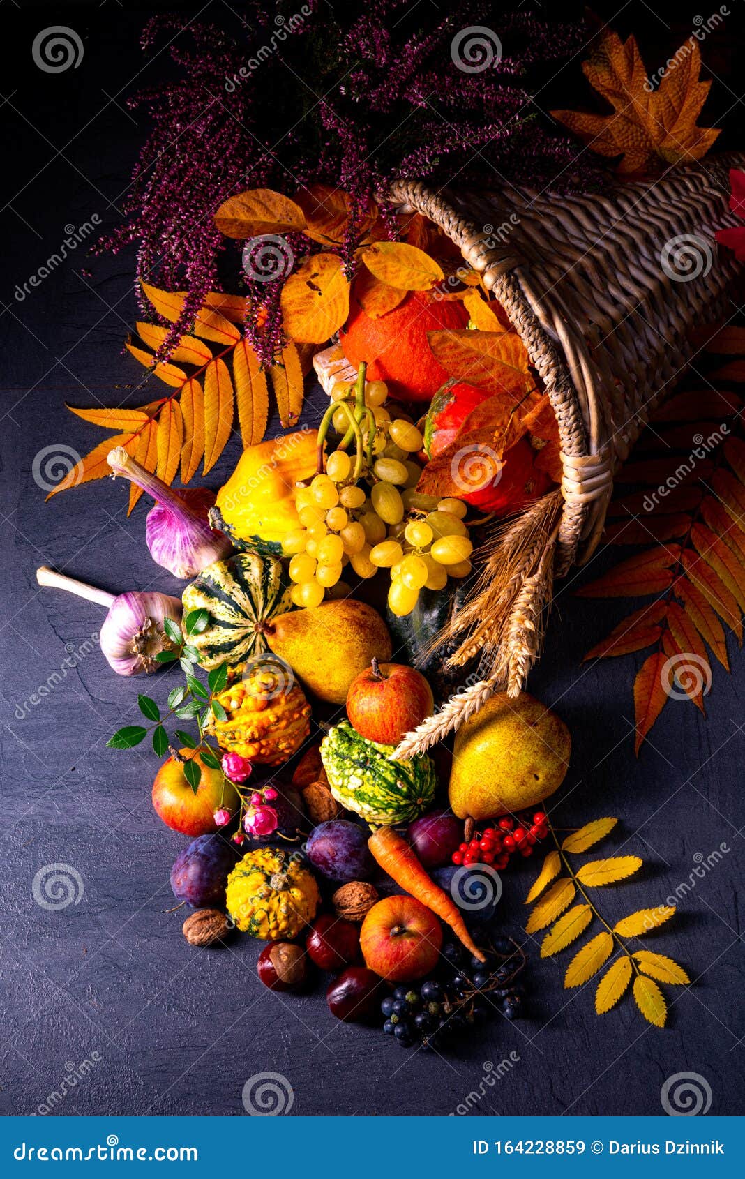 Beautiful and Autumnal Cornucopia Stock Image - Image of festival, fall ...