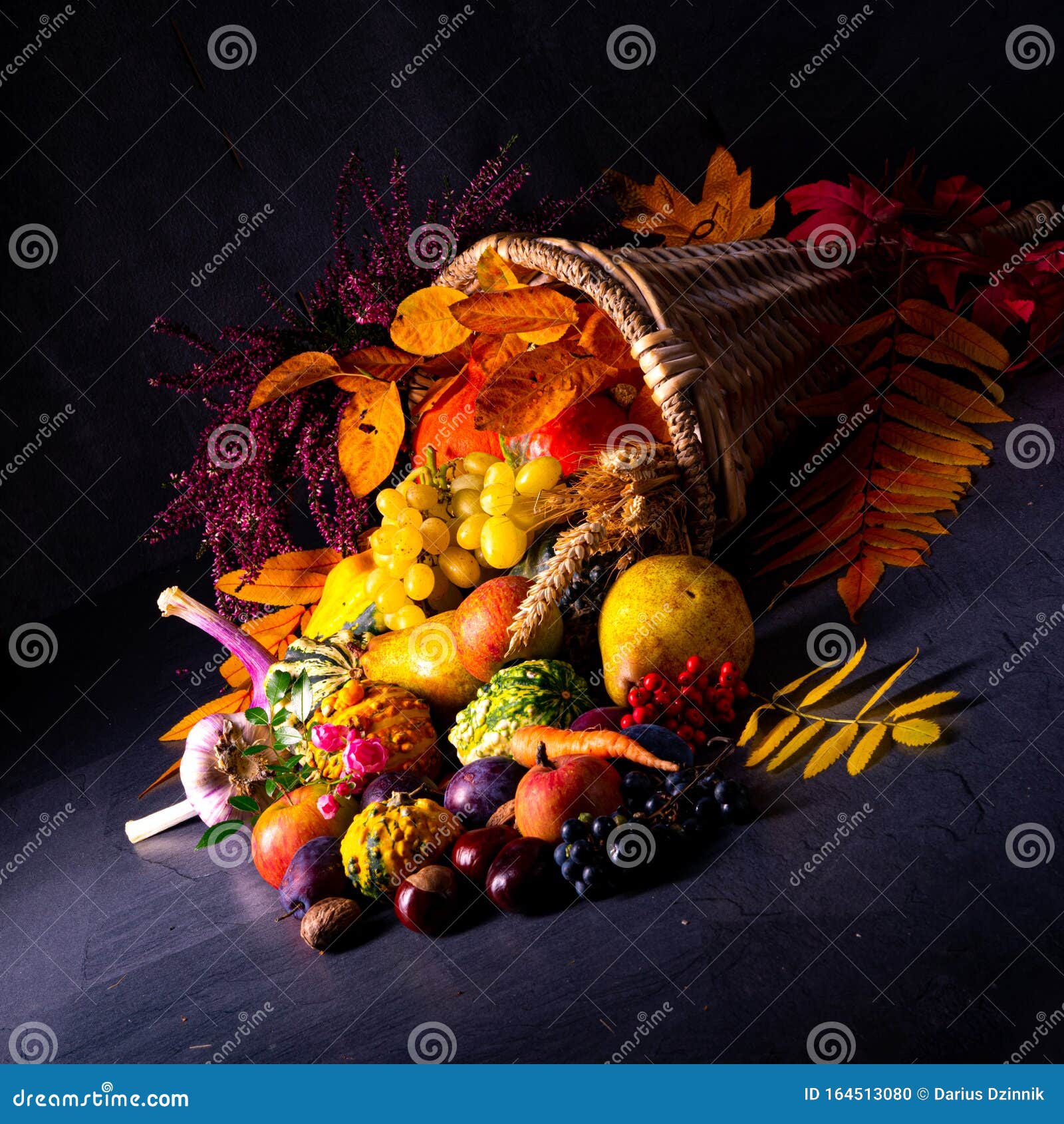 Beautiful and Autumnal Cornucopia Stock Photo - Image of design, nature ...