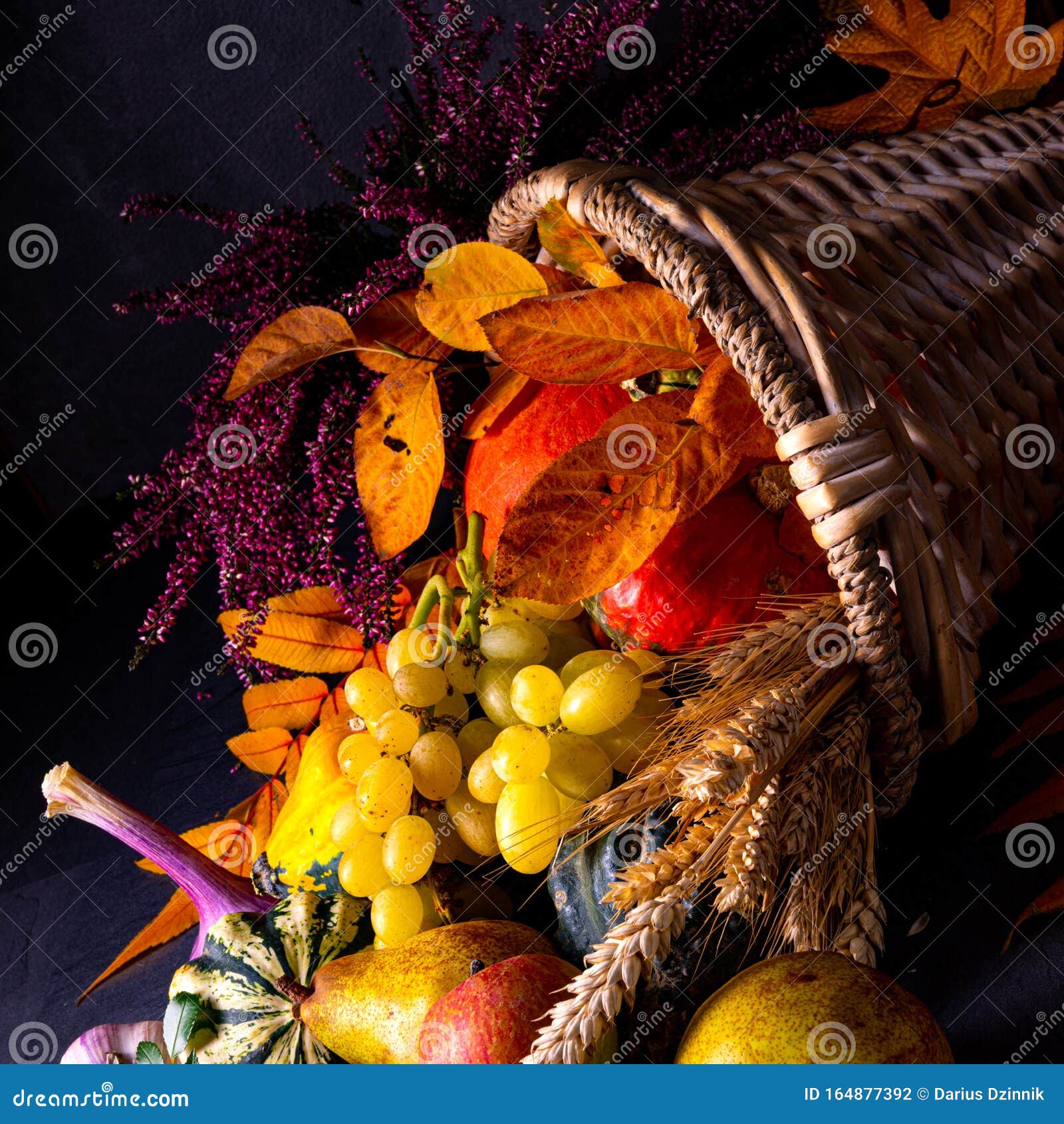 A Beautiful and Autumnal Cornucopia Stock Photo - Image of healthy ...