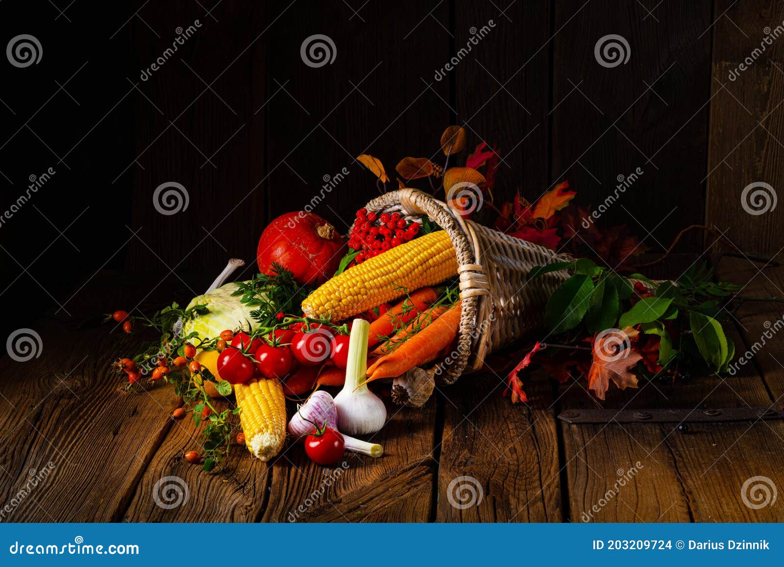 The Beautiful Autumnal Cornucopia with Vegetables Stock Photo - Image ...
