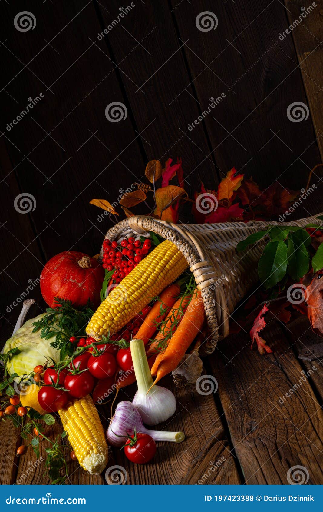 The Beautiful Autumnal Cornucopia with Vegetables Stock Photo - Image ...