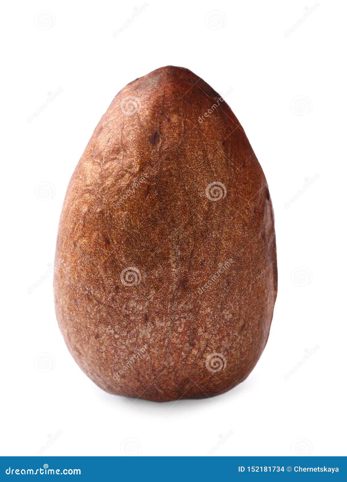 Beautiful Avocado Stone in Shell Stock Photo - Image of life, pear ...