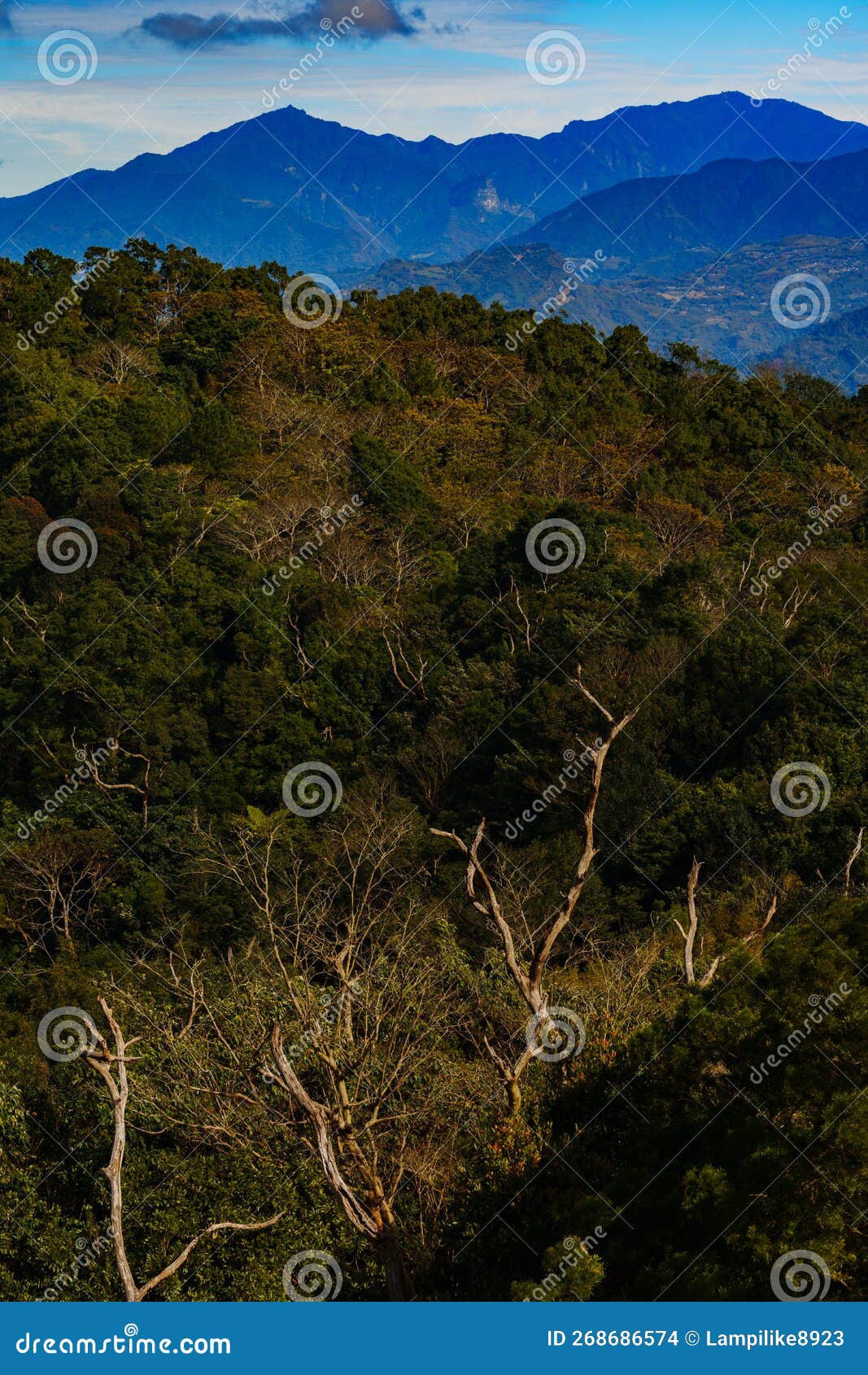 The Beautiful Azure Mountains Behind the Flush Forest Stock Photo ...