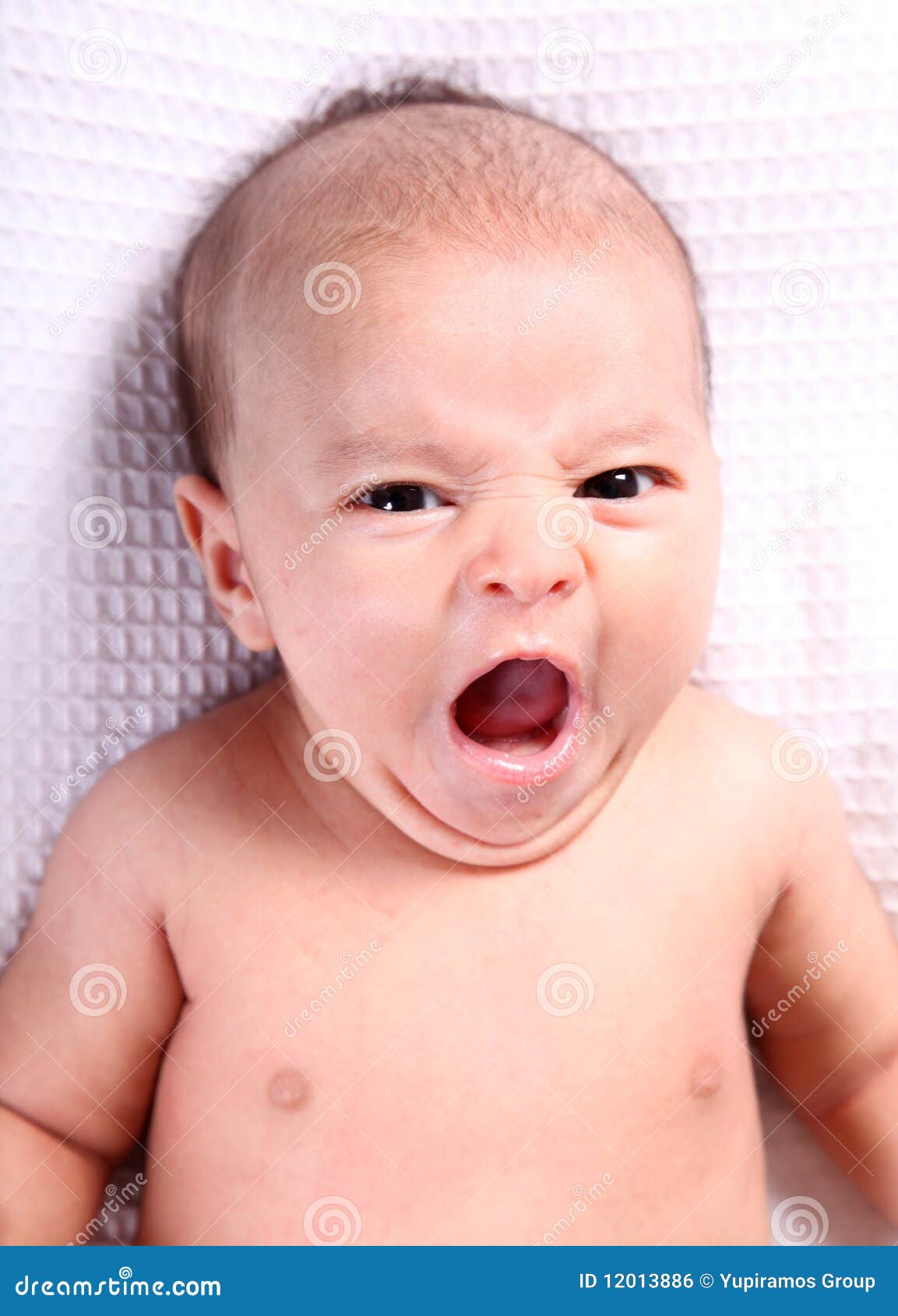 Baby Yawn/Growl Stock Photography | CartoonDealer.com #31489280