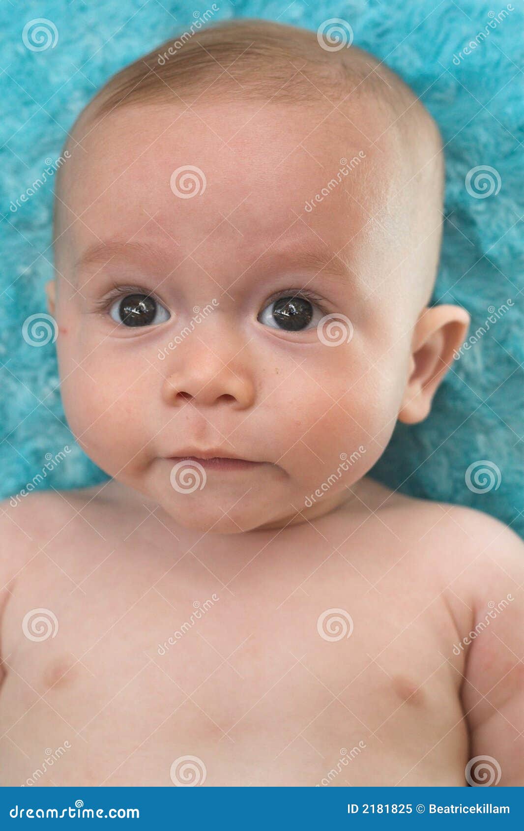 Beautiful Baby stock image. Image of looking, flawless - 2181825