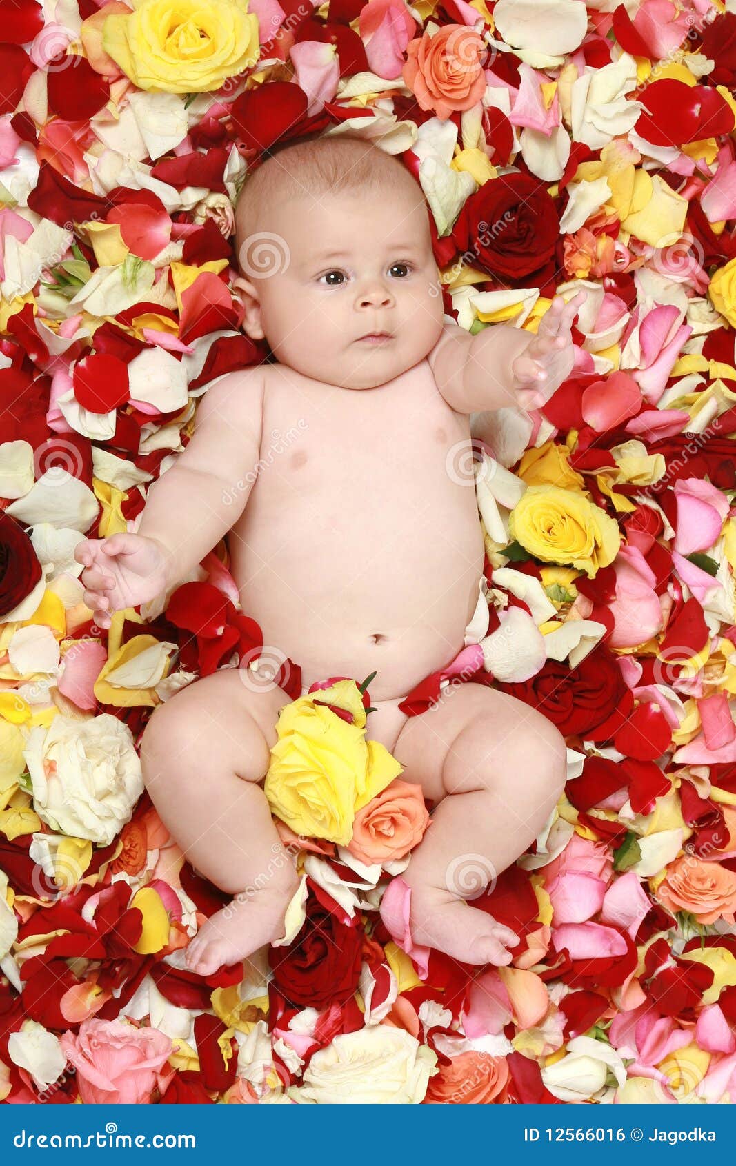 Beautiful Baby Boy in a Rose Plants Stock Photo - Image of newborn ...