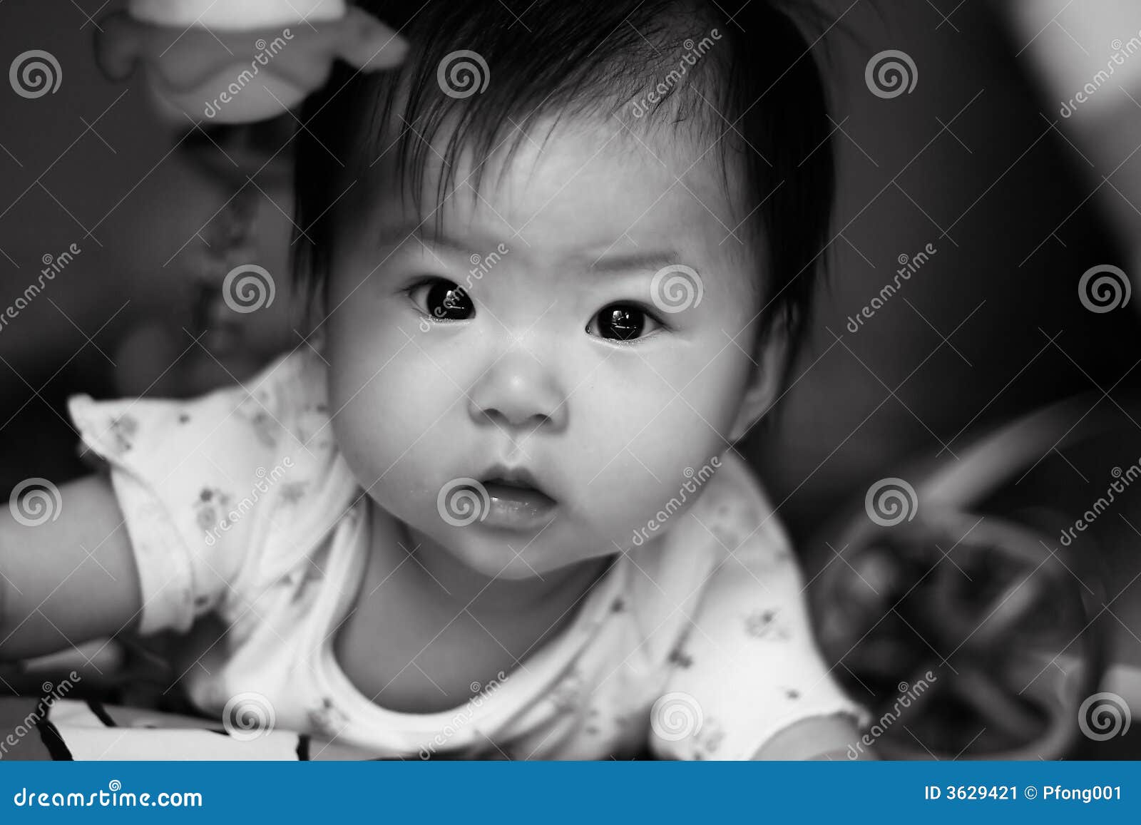 Beautiful Baby Eyes stock image. Image of young, infant - 3629421