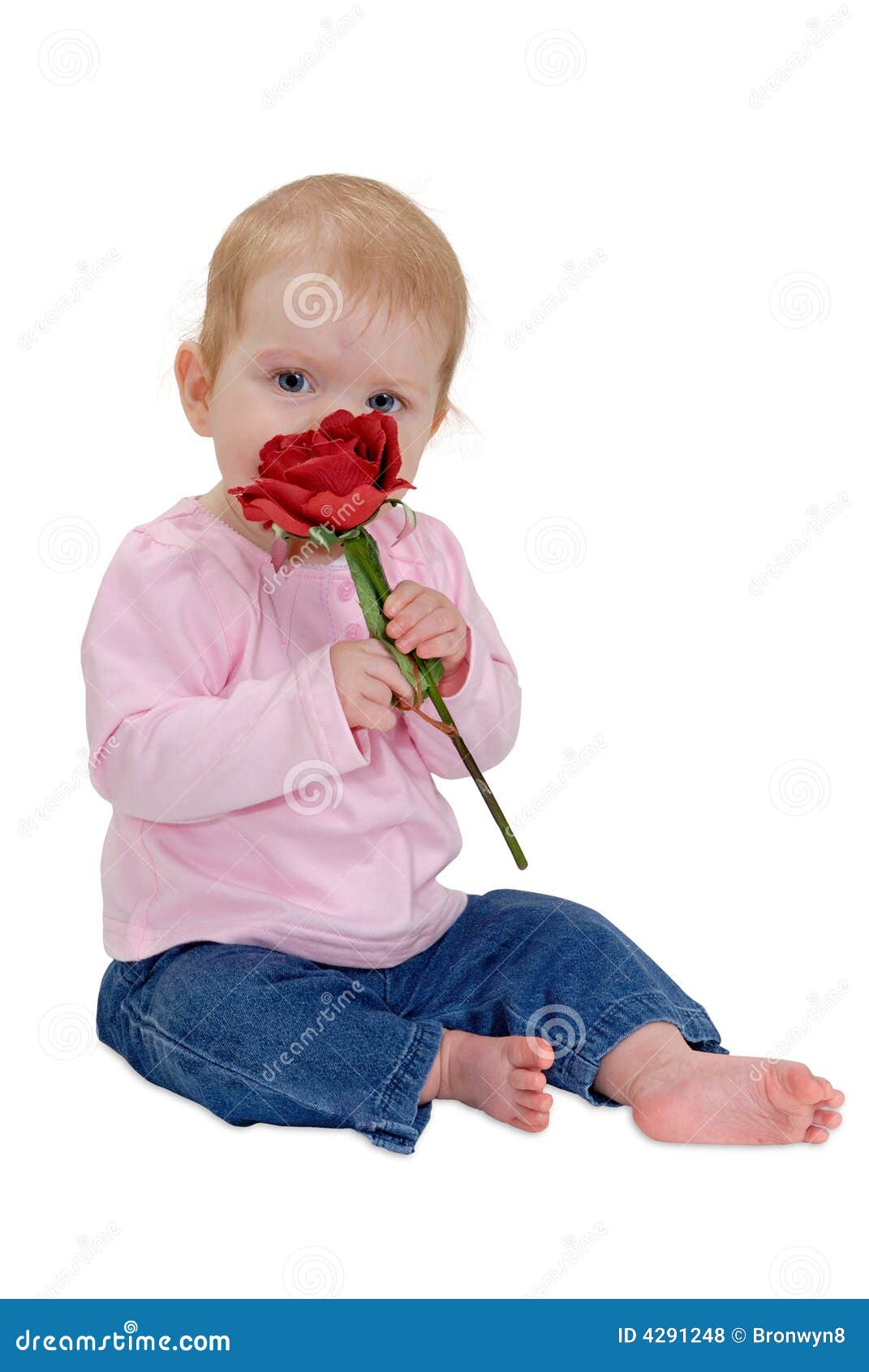 Beautiful baby and rose stock photo. Image of scent, cute - 4291248