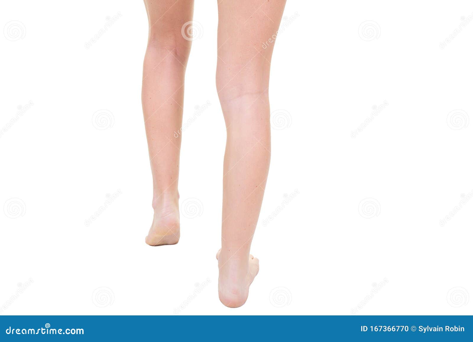 Beautiful Back Long Women Legs Stock Photo - Image of slim, isolated ...