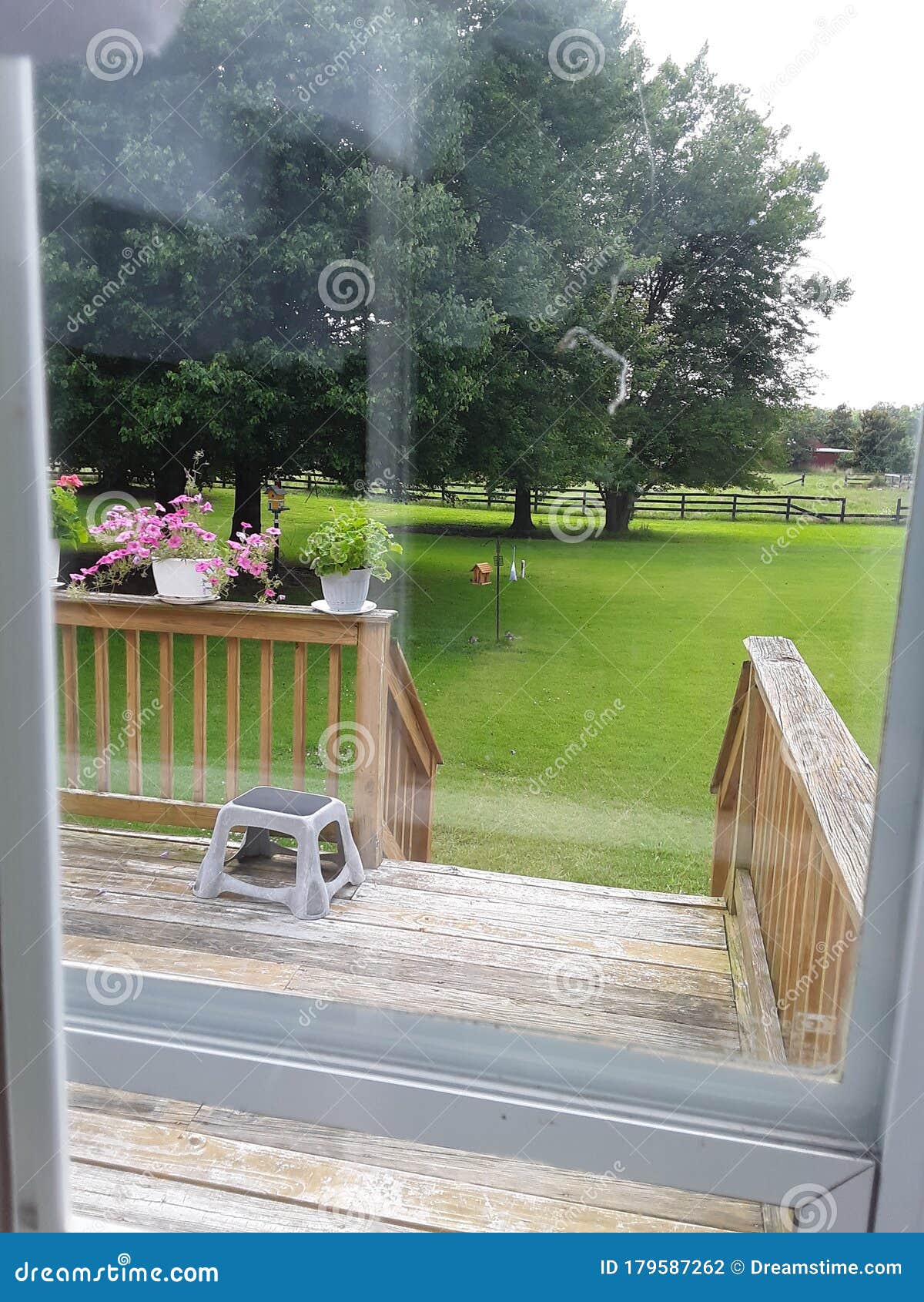 Beautiful Back Yard View of Nature Stock Photo - Image of view, back ...