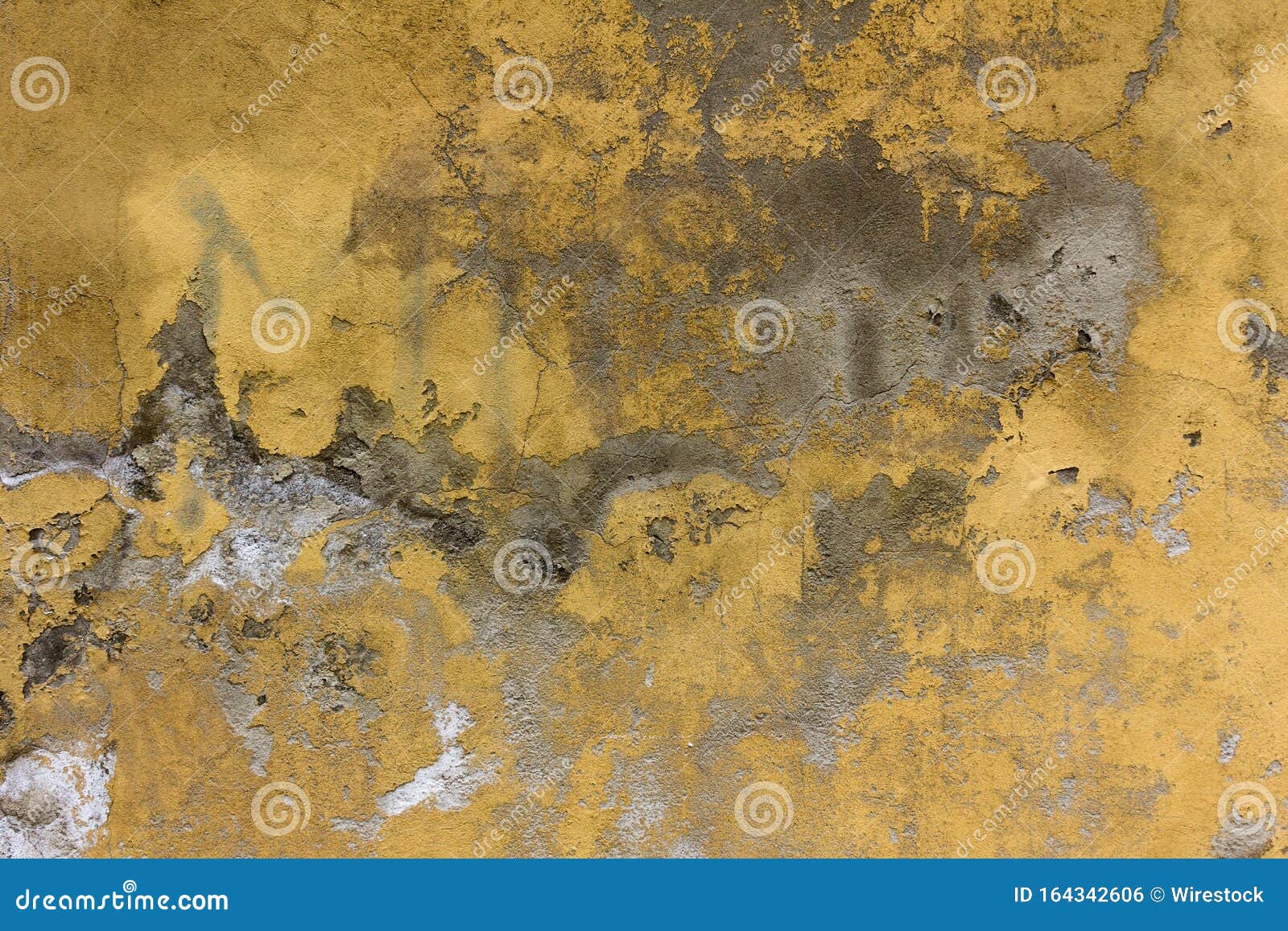 Beautiful Background of an Exotic Tree Leaf with Interesting Textures ...