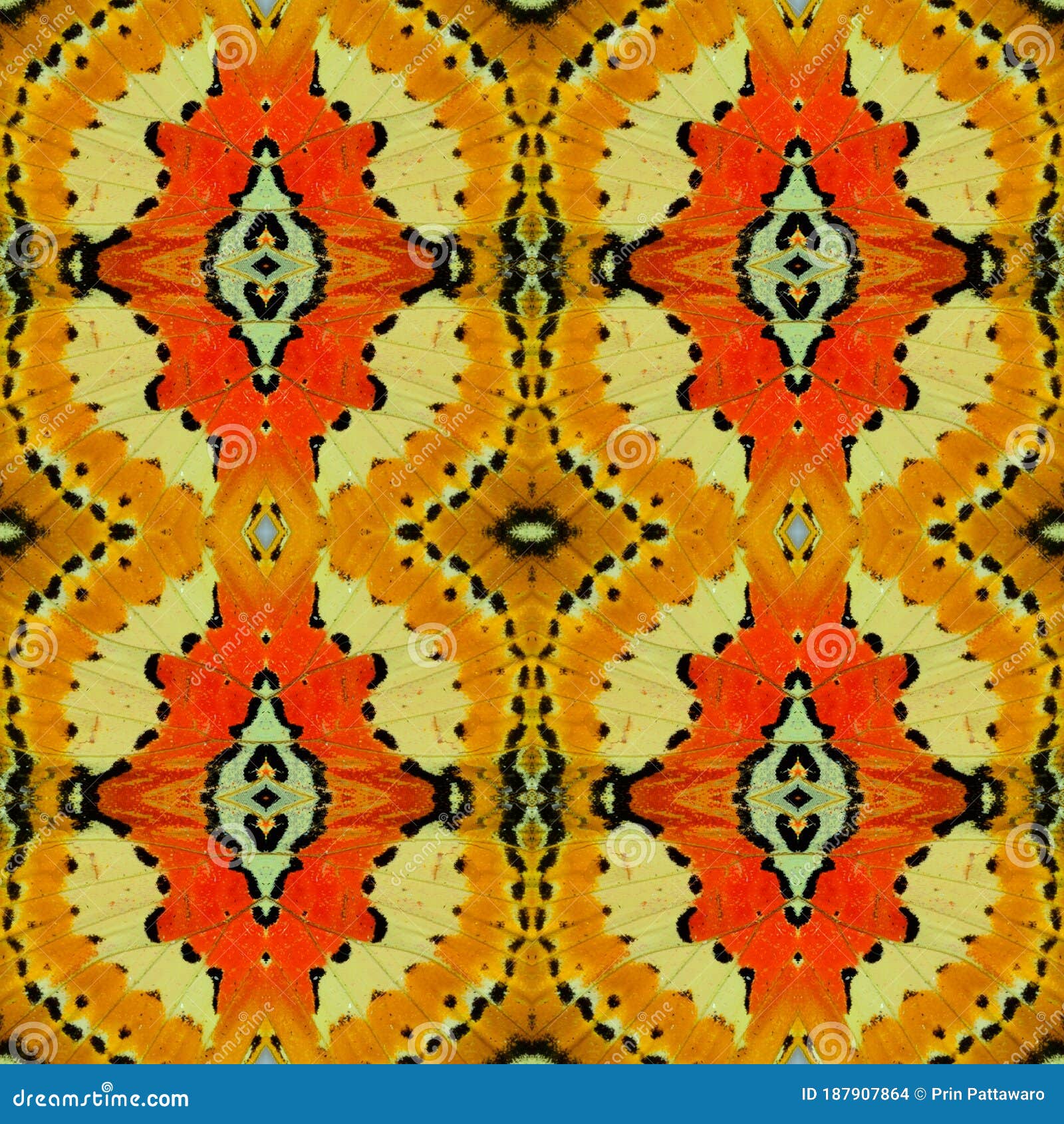 Beautiful Background Pattern Made Of Common Lacewing Butterfly Wings ...