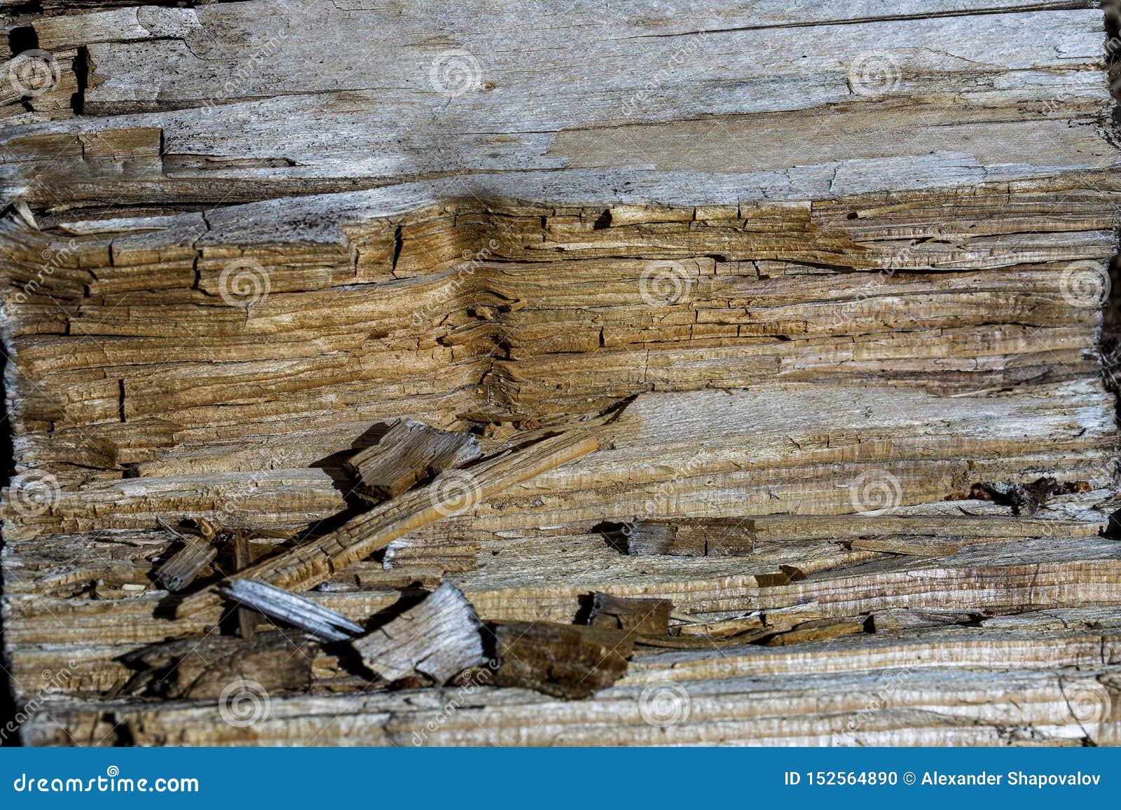 Beautiful Background Texture of View of Old Grey Yellow Colored Rotten ...