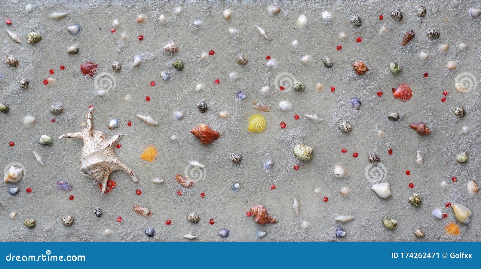 Beautiful Background Was Decorated by Shell on the Cement Wall Stock ...