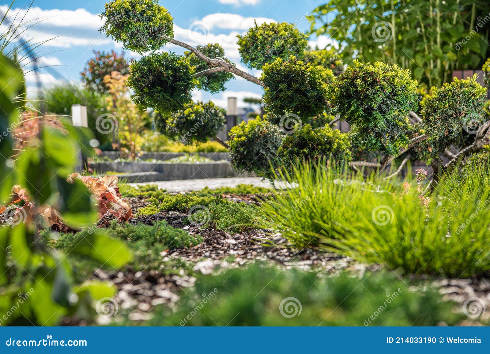 Beautiful Backyard Landscape Design. View Of Colorful Trees And ...