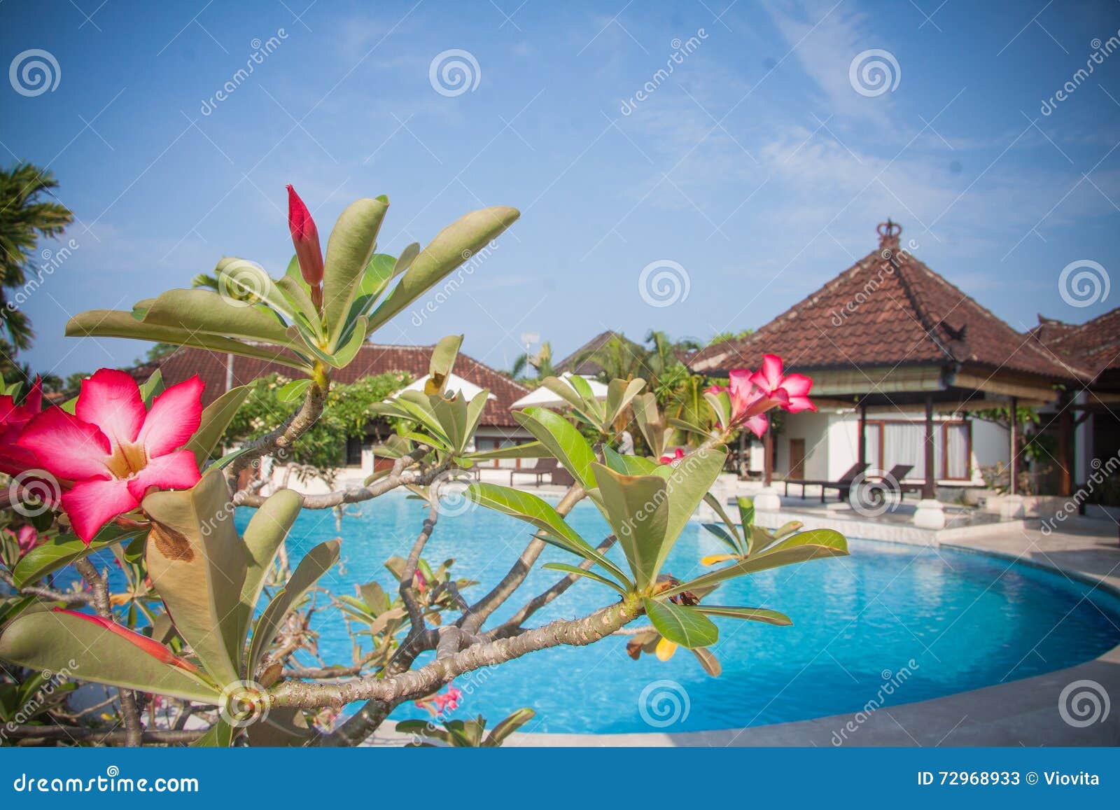 Beautiful Bali pool stock image. Image of exterior, area - 72968933