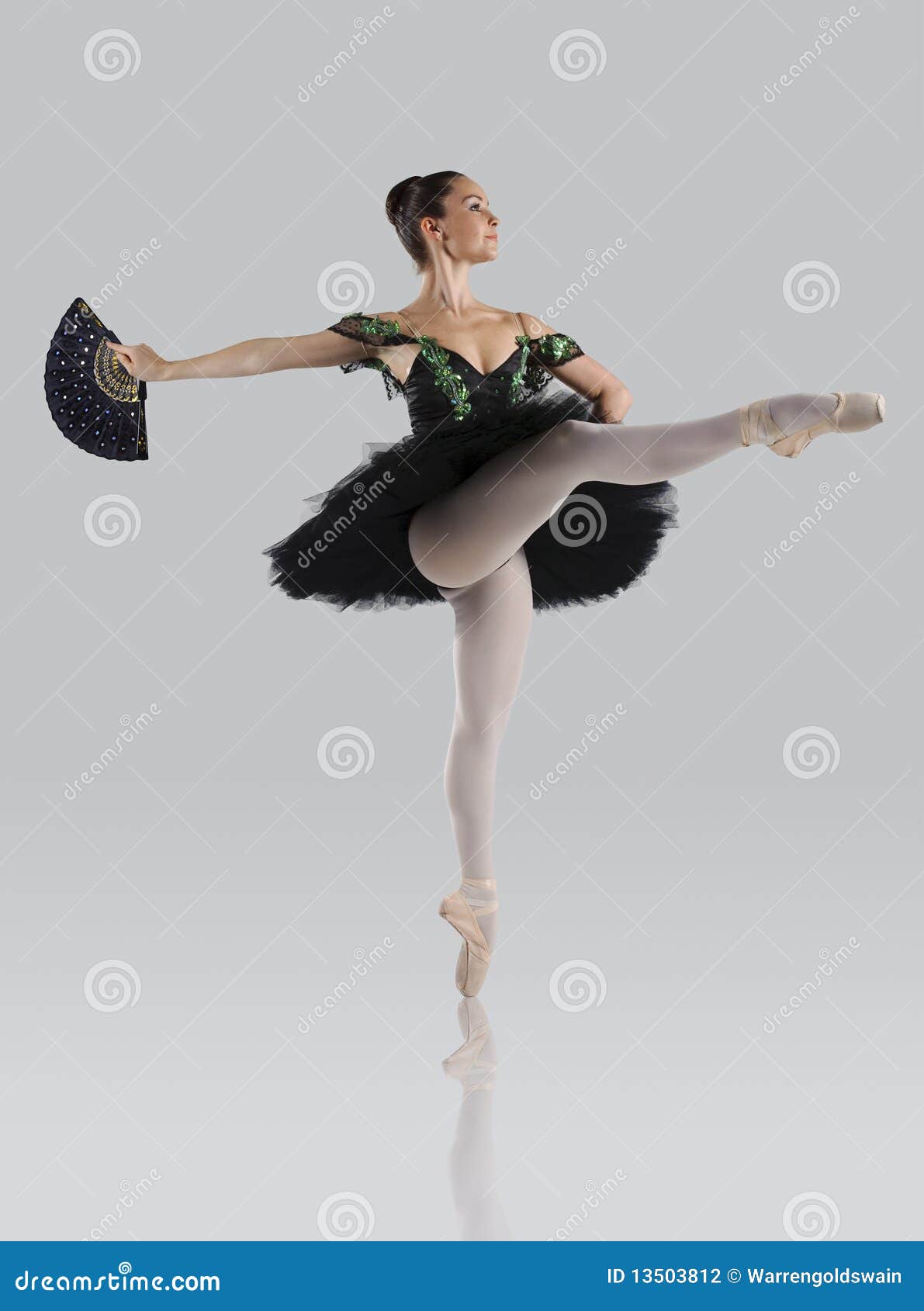 Beautiful ballet stock photo. Image of elegance, artist - 13503812