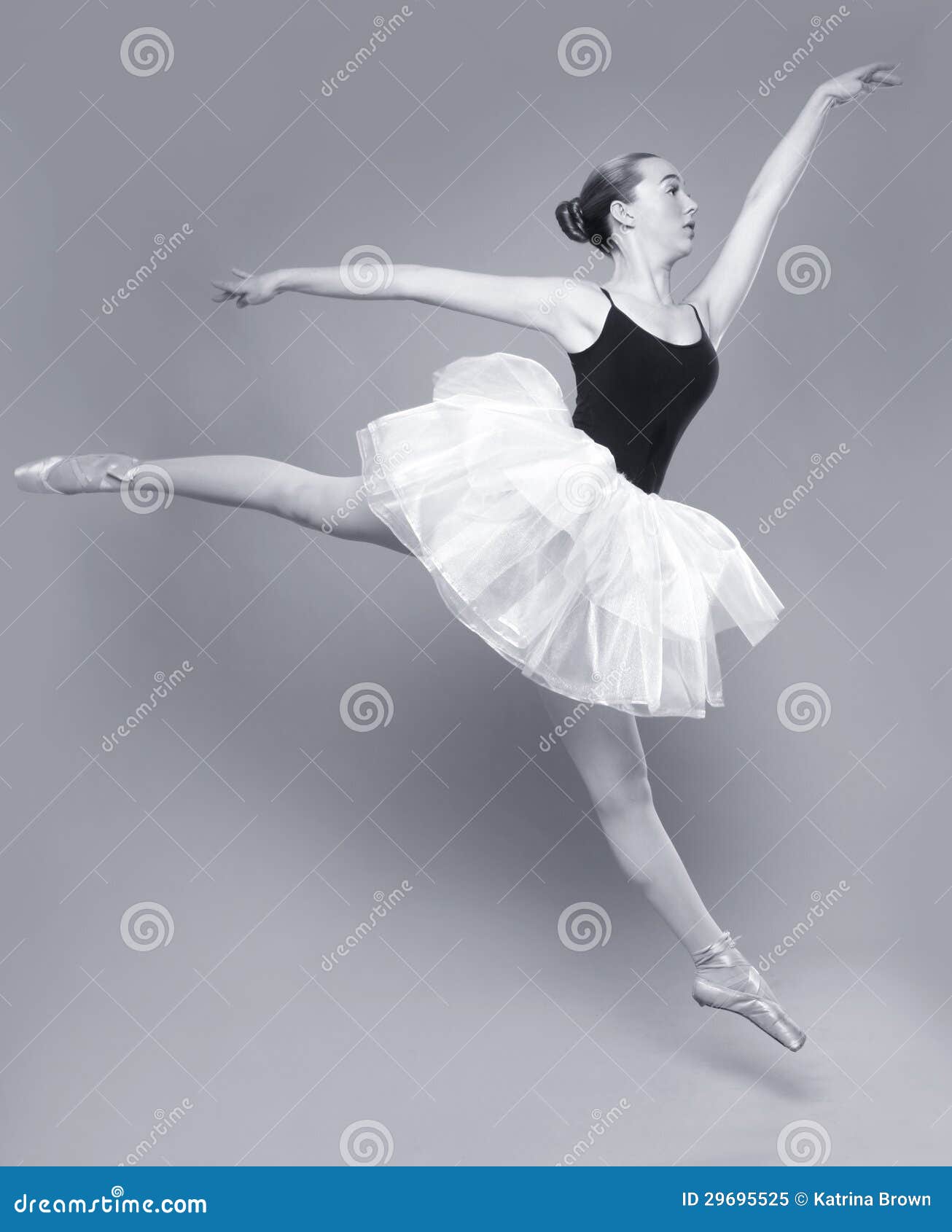 Beautiful Ballet Dancer Portrait Stock Image - Image of adult ...