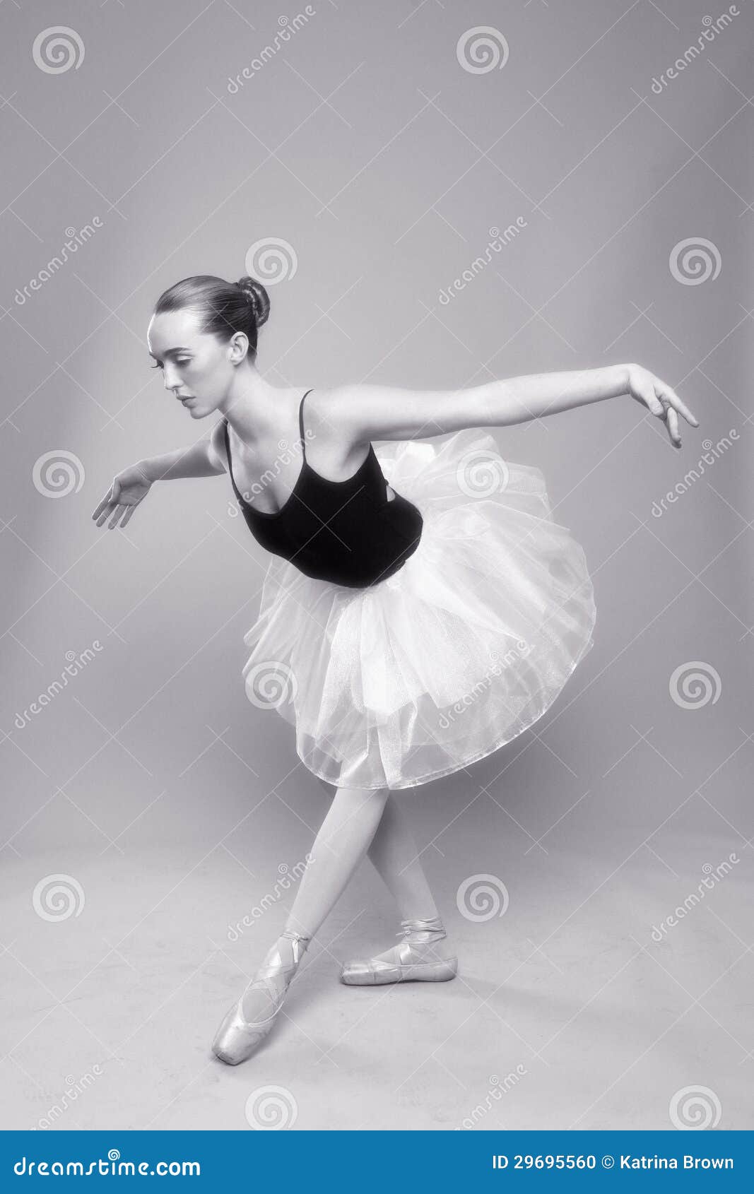 Beautiful Ballet Dancer Portrait Stock Photo - Image of ballet, people ...