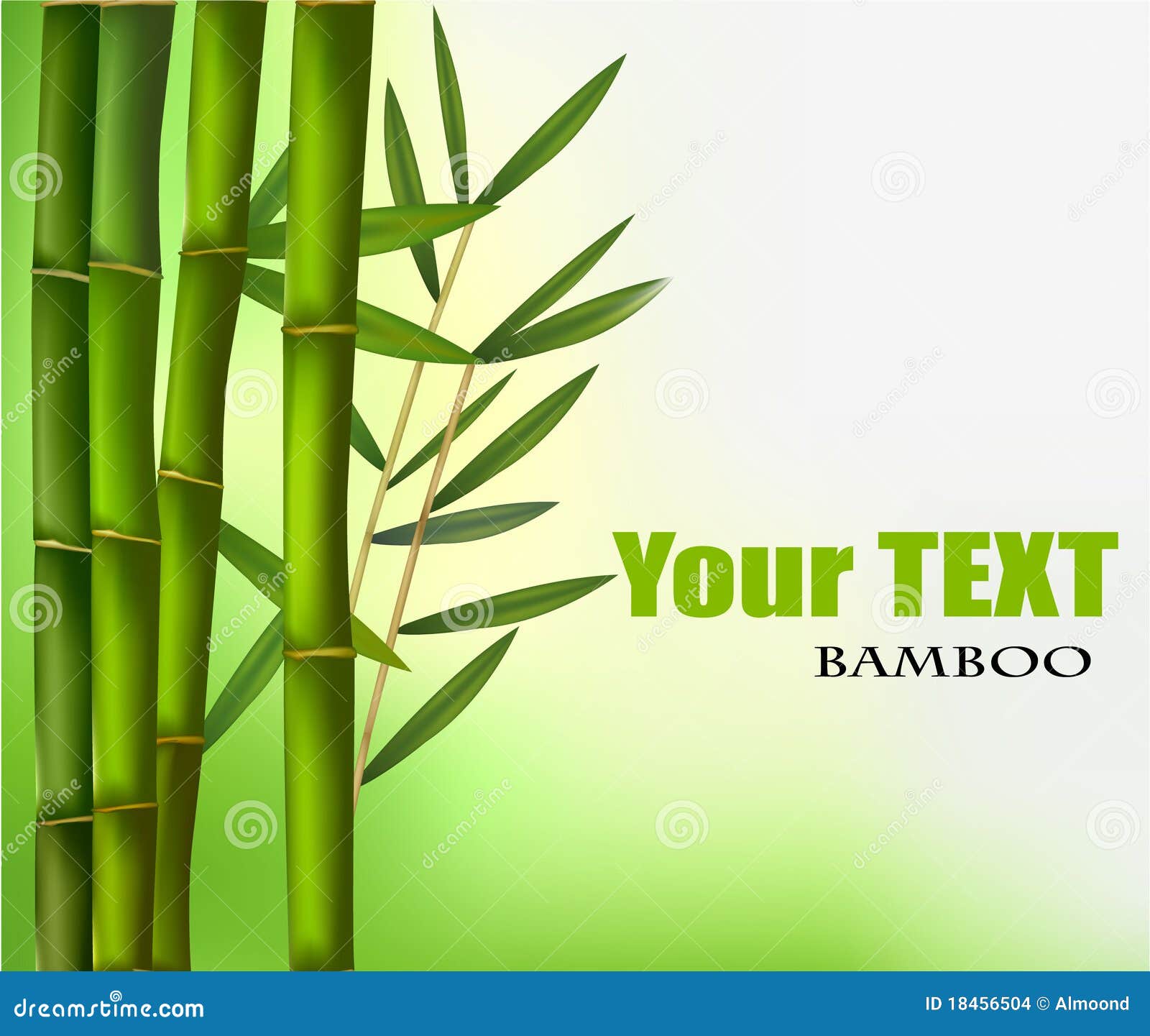 Beautiful Bamboo Border. Vector Stock Vector - Illustration of bunch ...