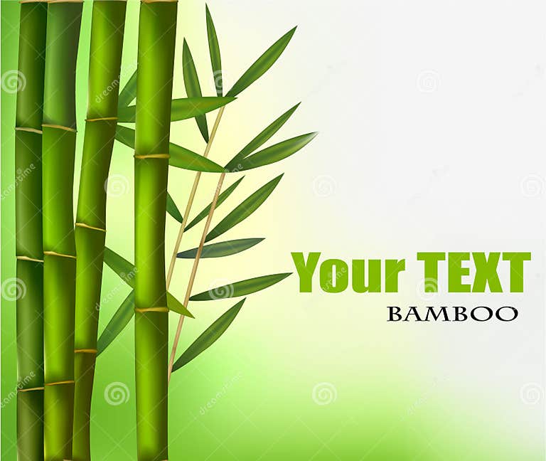 Beautiful Bamboo Border. Vector Stock Vector - Illustration of bunch ...