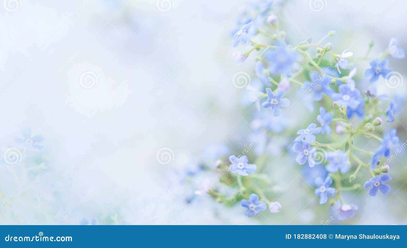 Beautiful Banner Wallpaper in Soft Blue with Colors and Space for Text ...