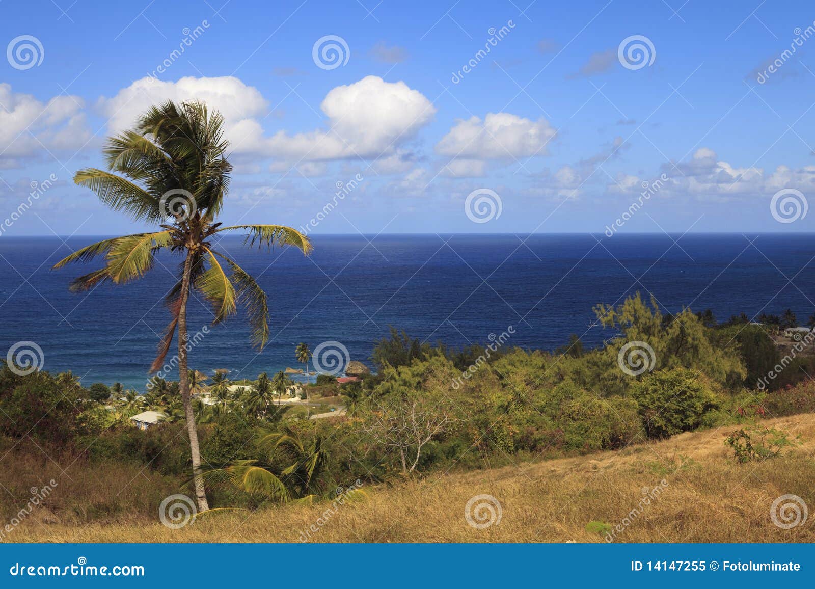 Beautiful Barbados stock image. Image of grass, coastline - 14147255